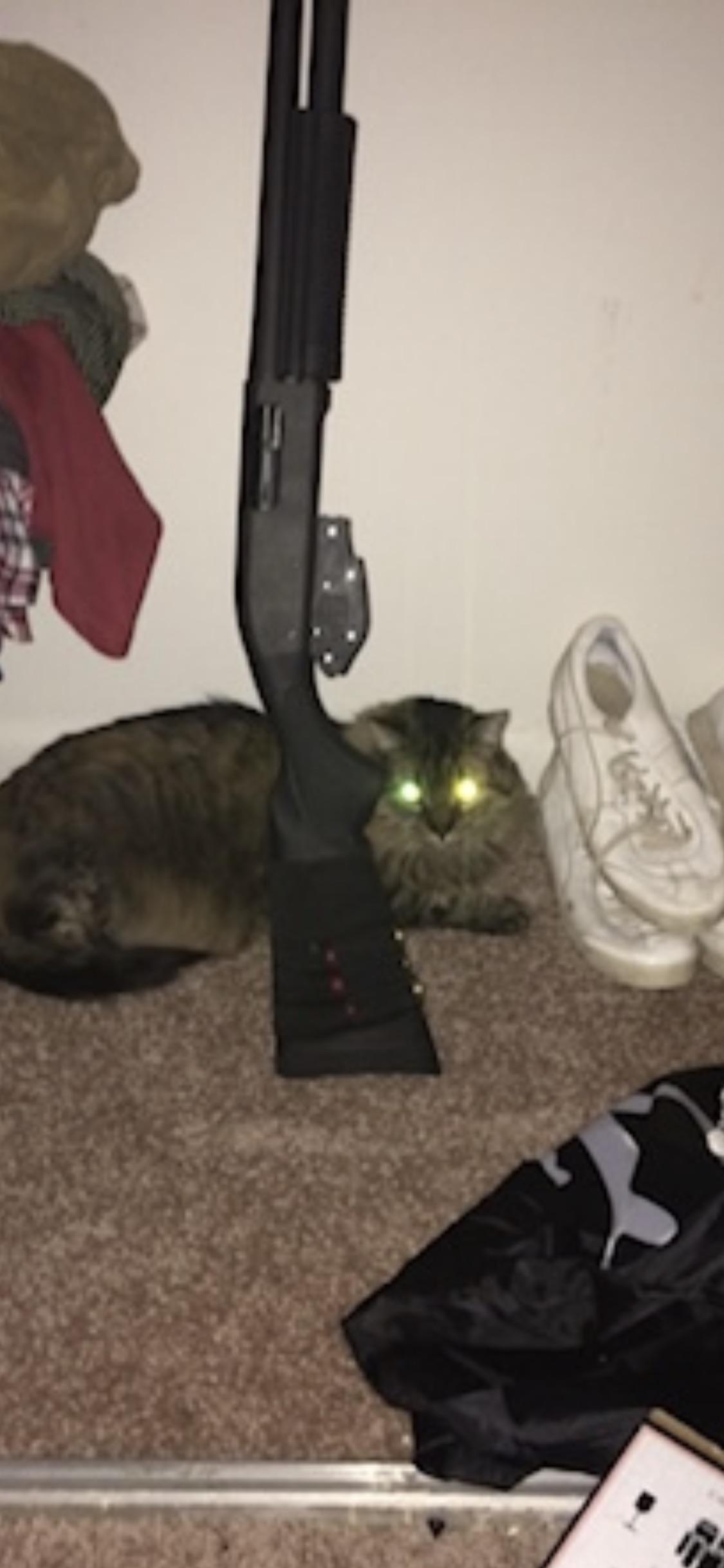 Old school buddy | Scrolller