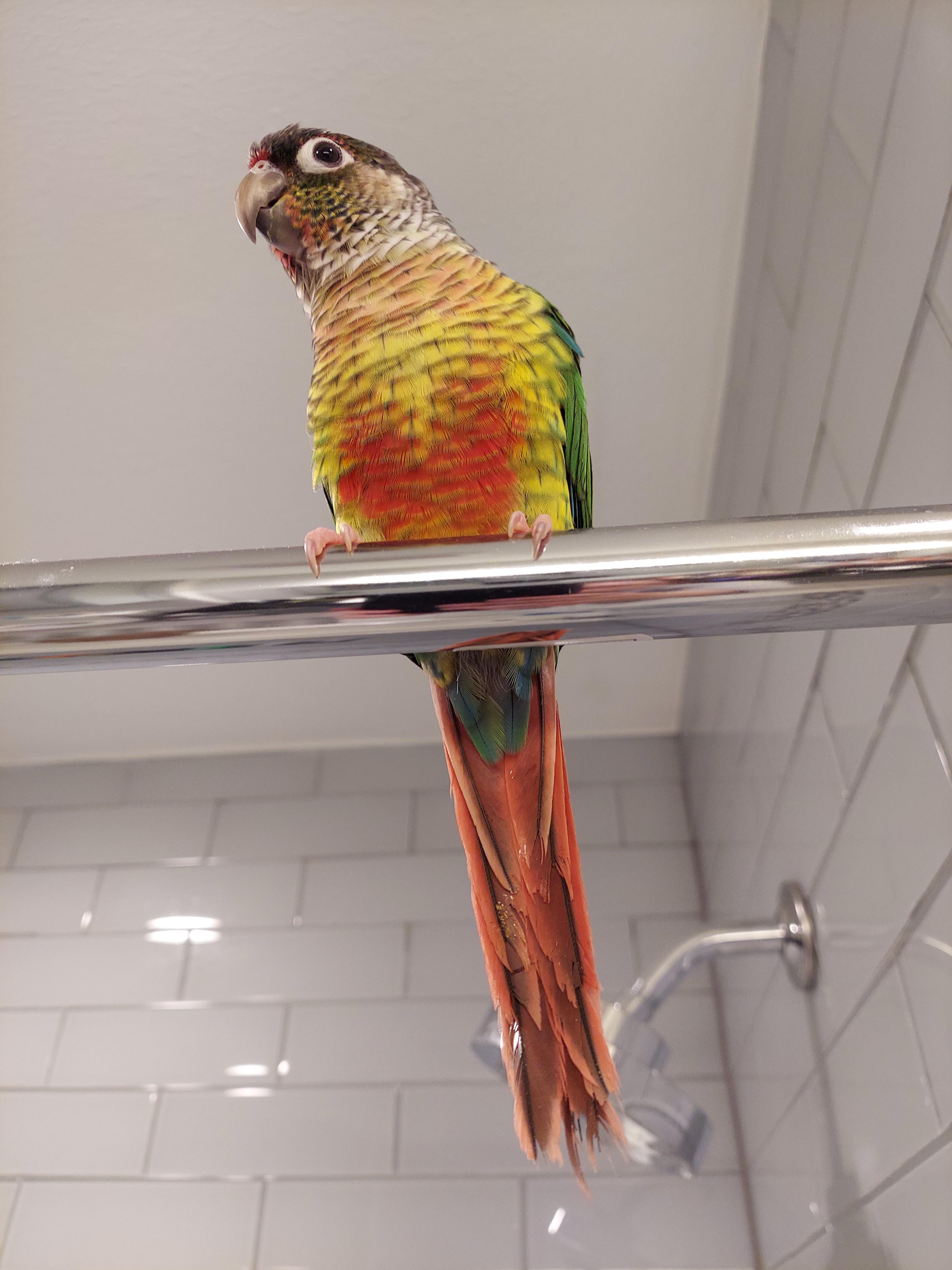 Ollie parties hard & wears her heart on her tummy. | Scrolller