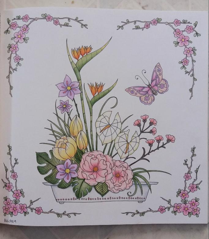 On a World of Flowers kick atm. | Scrolller