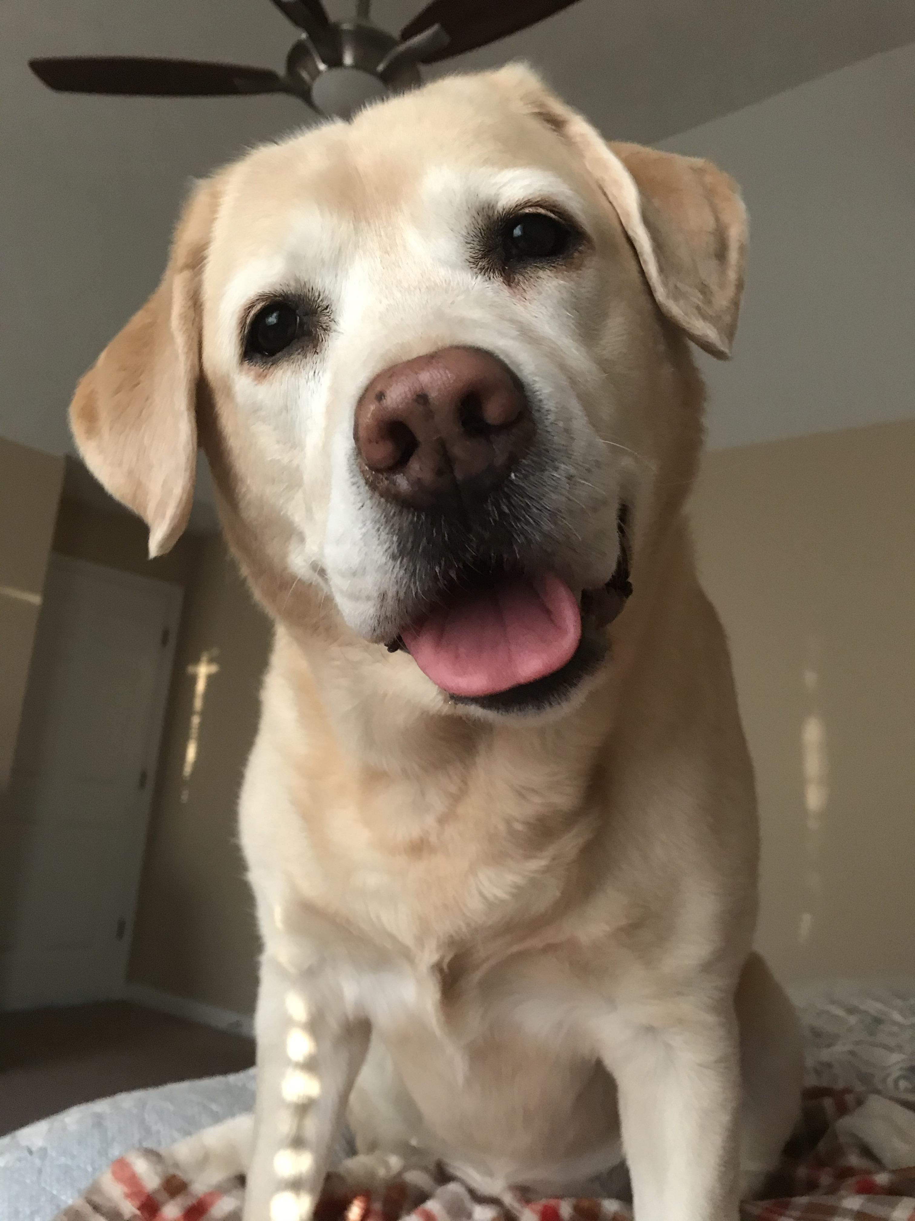 On my cake day, let me present to you my best friend Sally | Scrolller