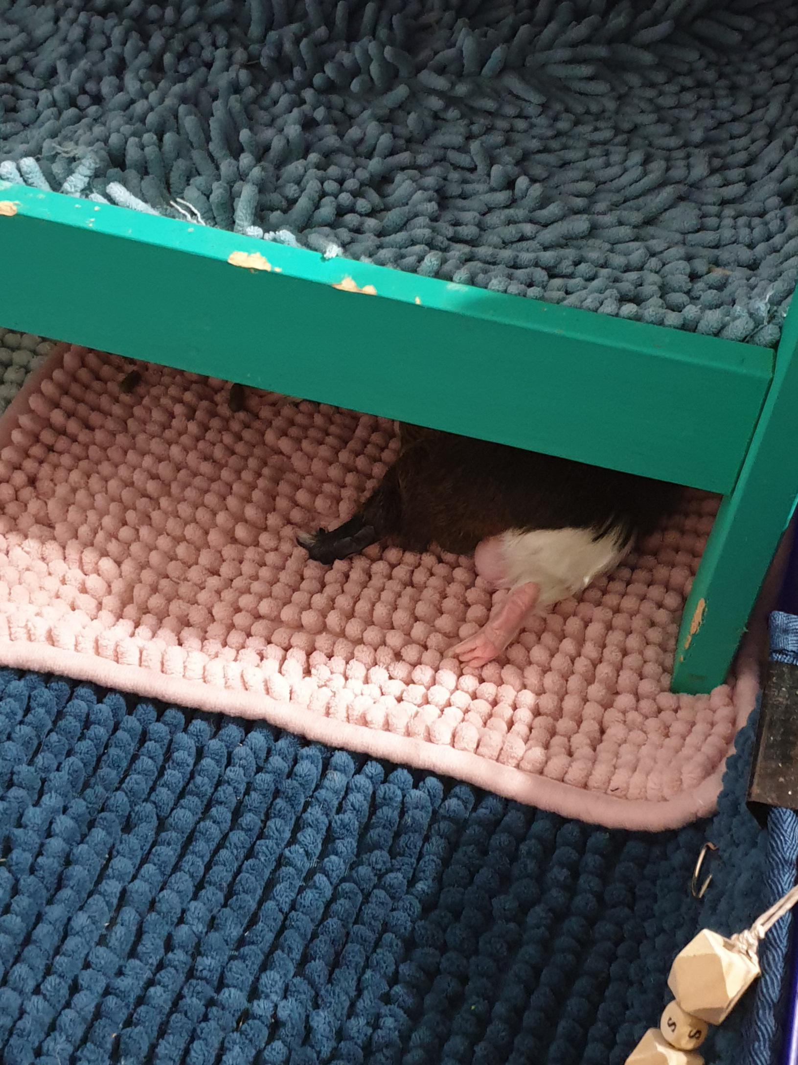 One Black Foot And One Pink | Scrolller