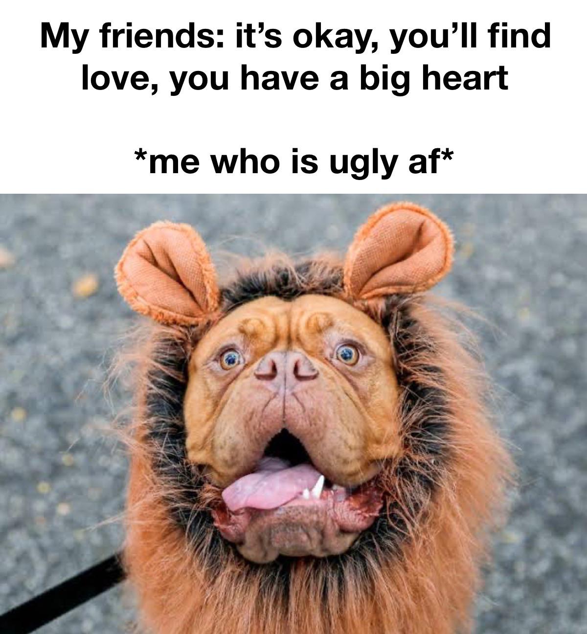 One day I’m sure | Scrolller