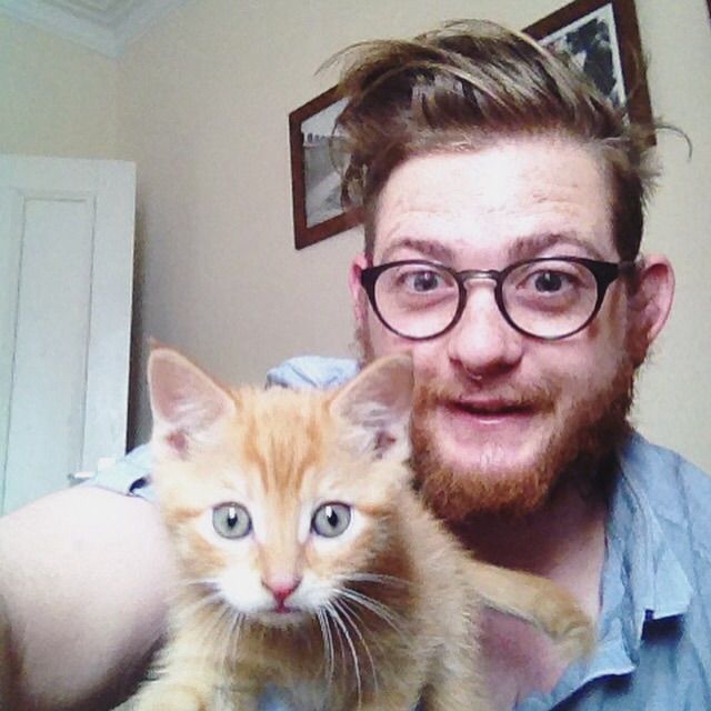 One Ginger Cat One Gingerish Guy Scrolller