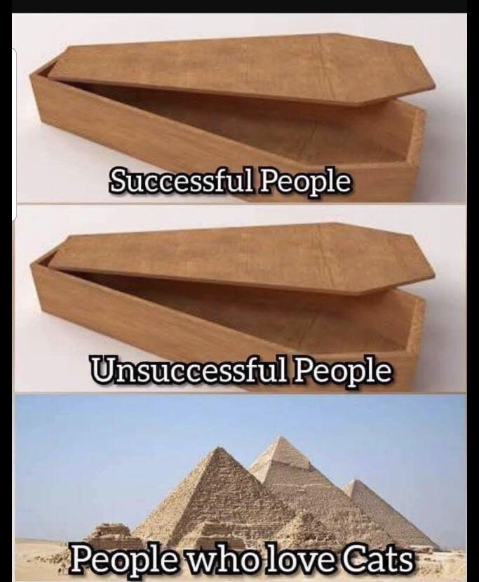 One of my first memes | Scrolller