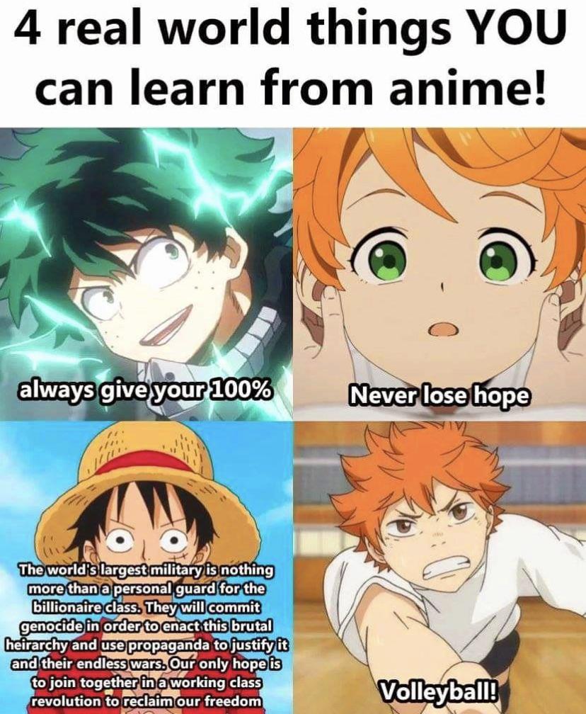 One piece rule | Scrolller