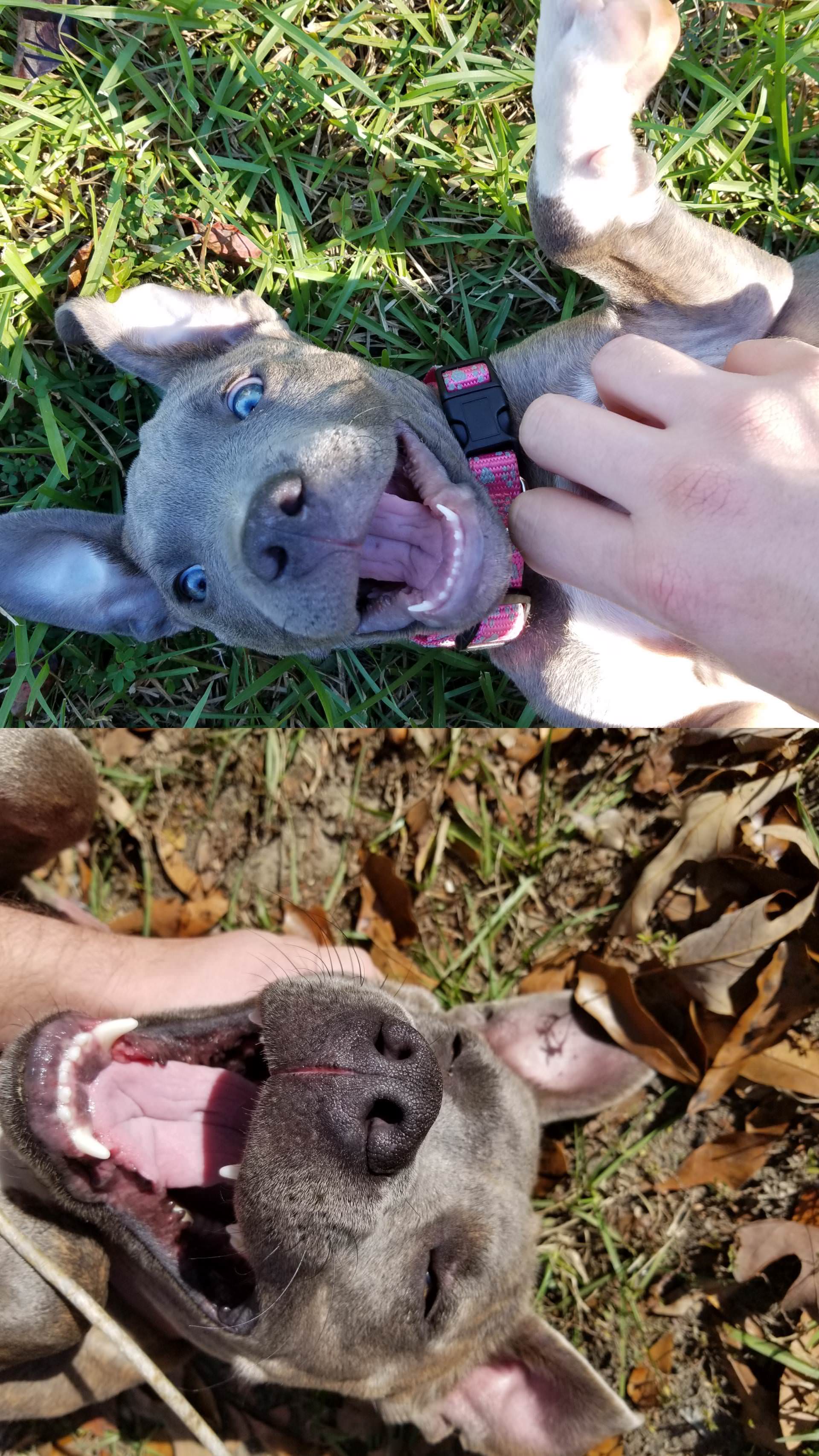 One year difference | Scrolller