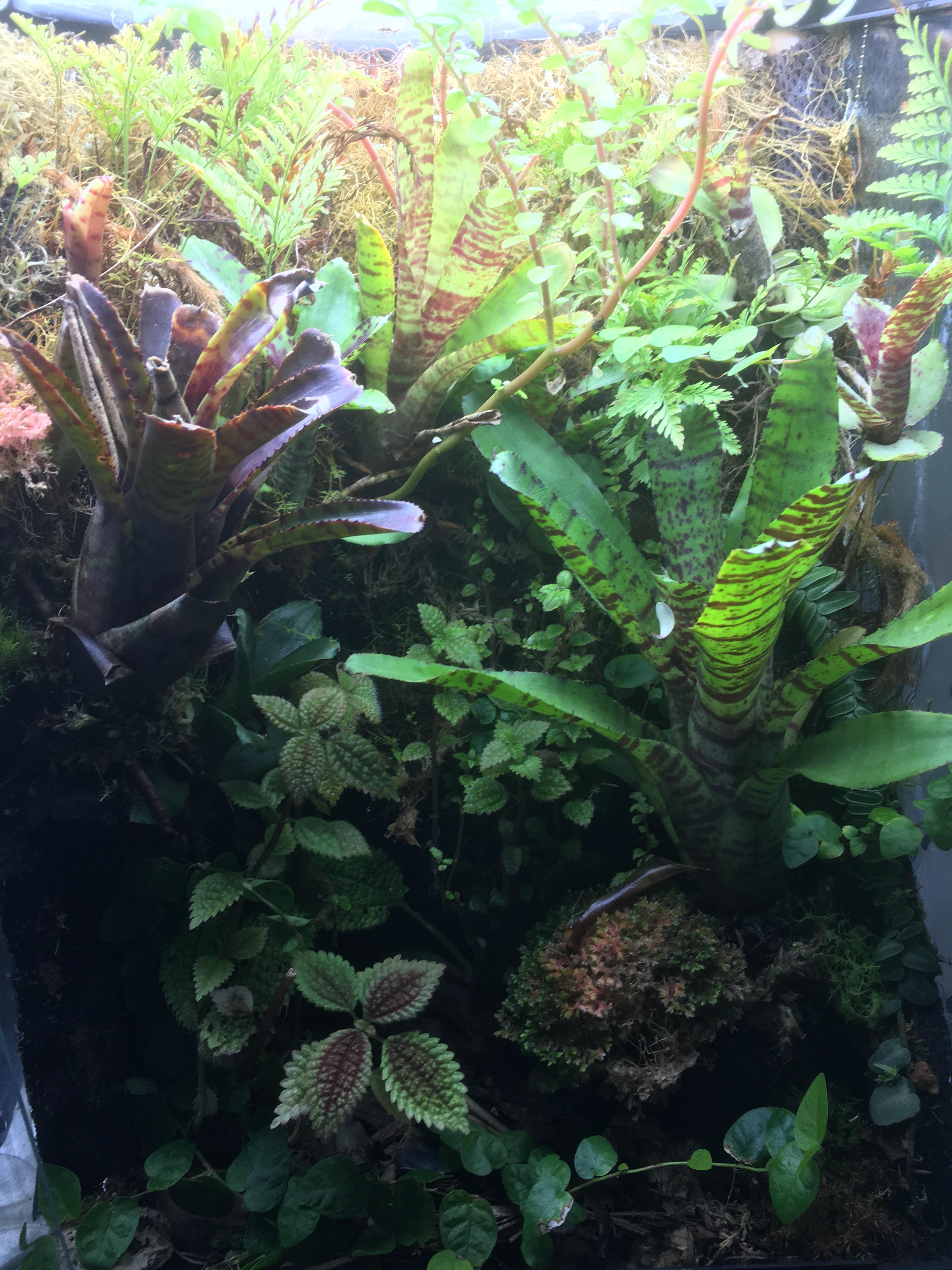 One year later | Scrolller