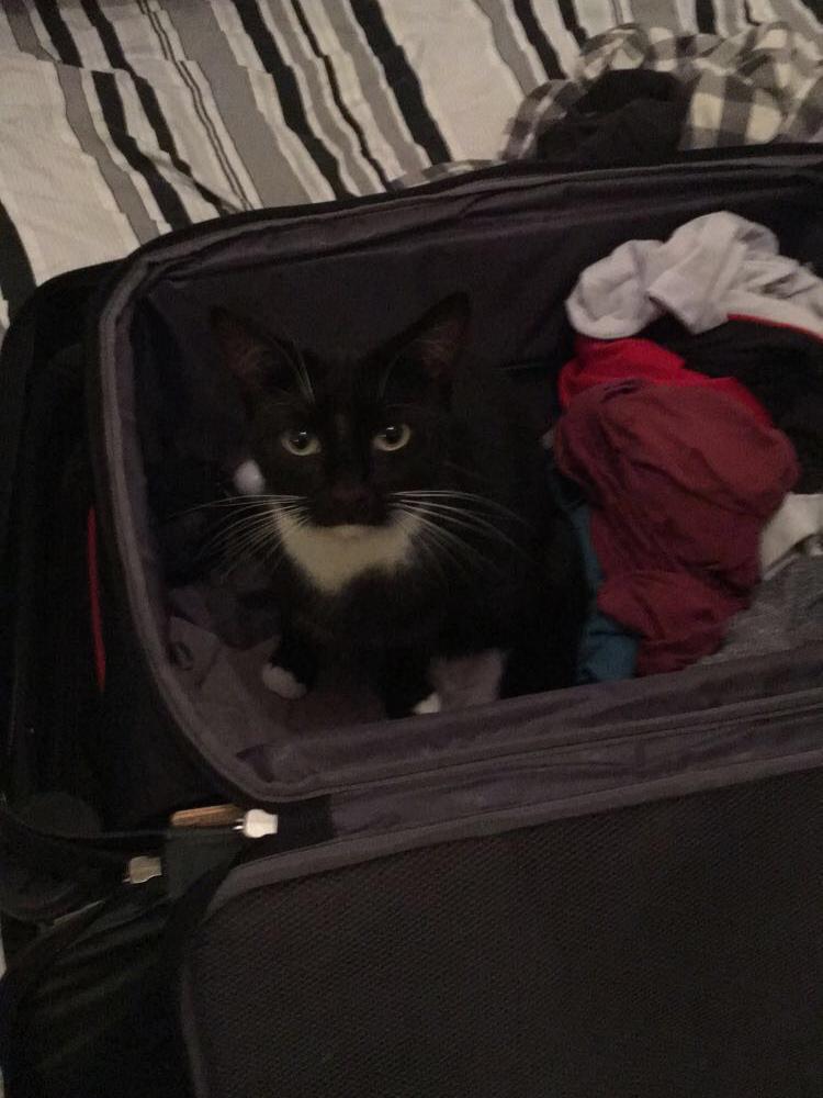 Only packing the essentials | Scrolller