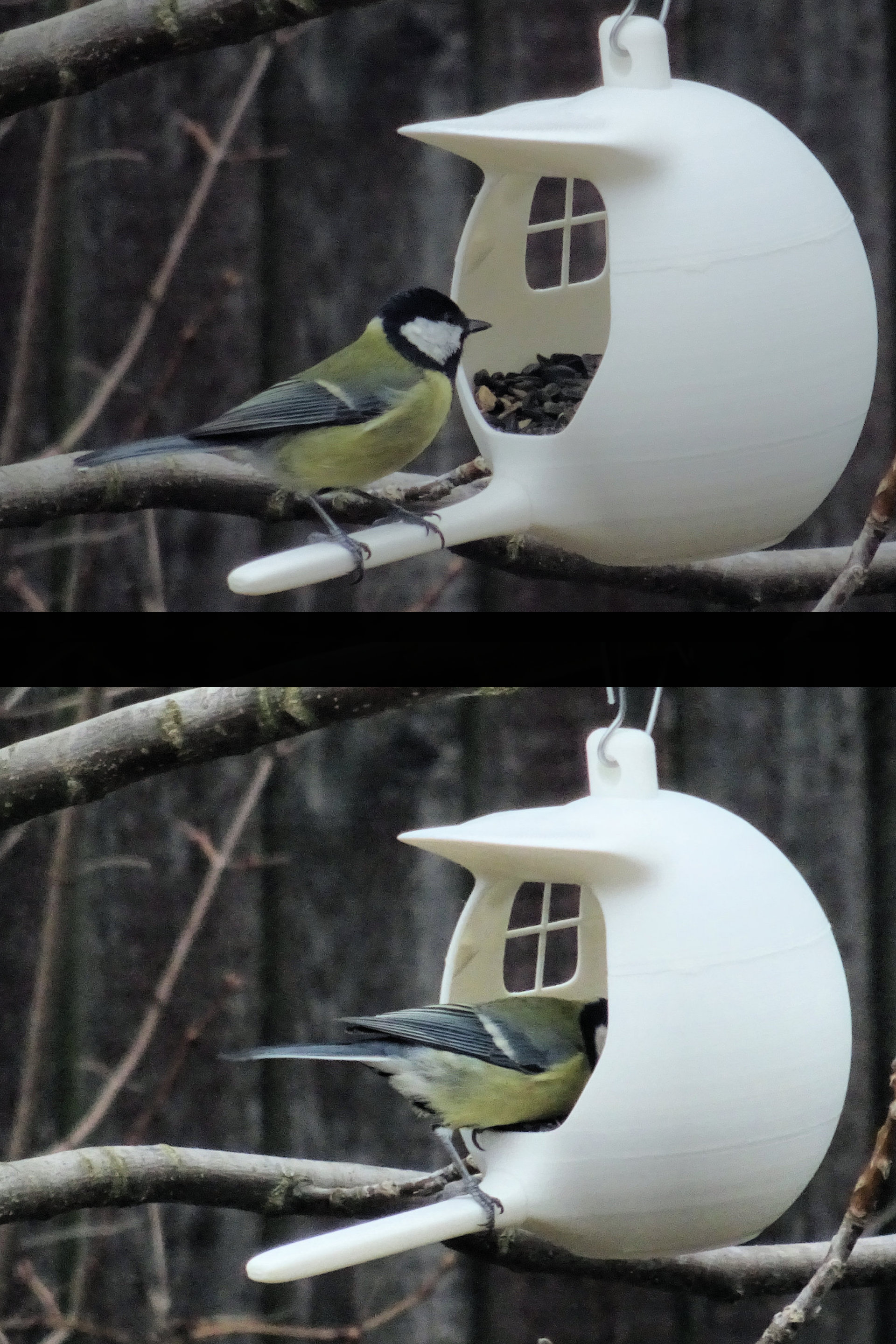 Operation Bird Feeder was a success! 🐦 | Scrolller