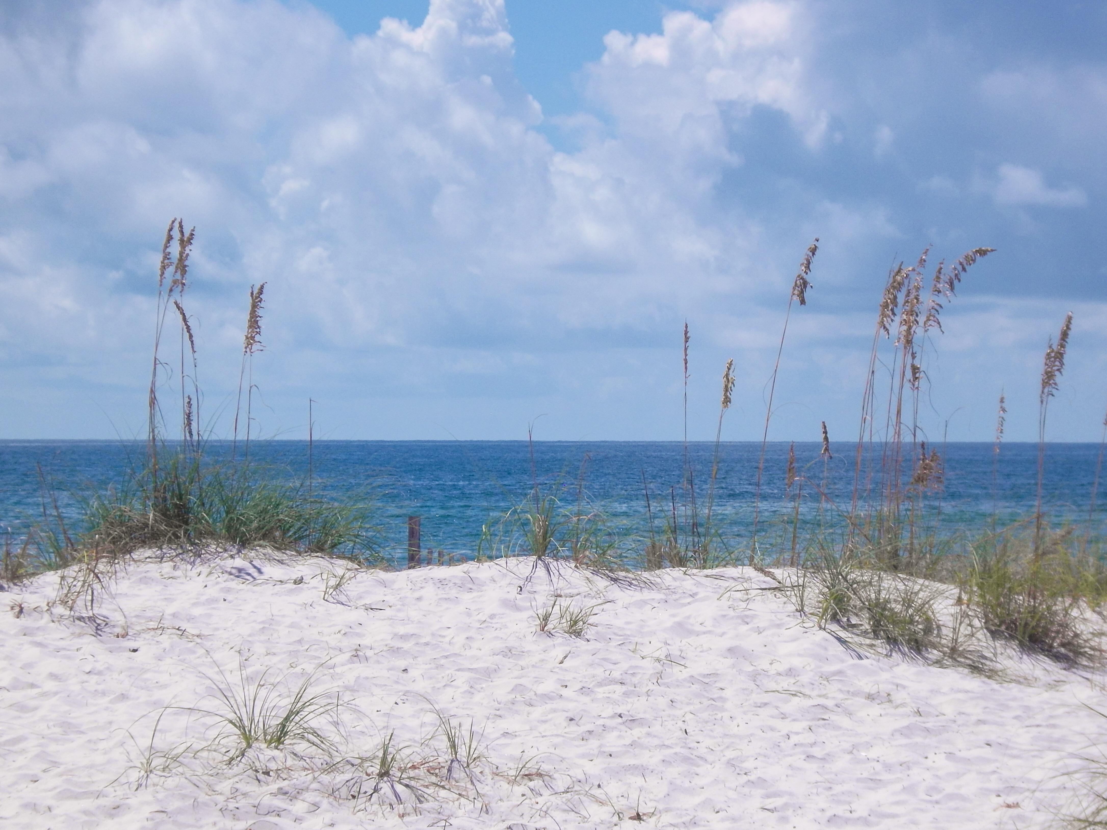 Orange Beach, Alabama [4343x3257] (OC) | Scrolller