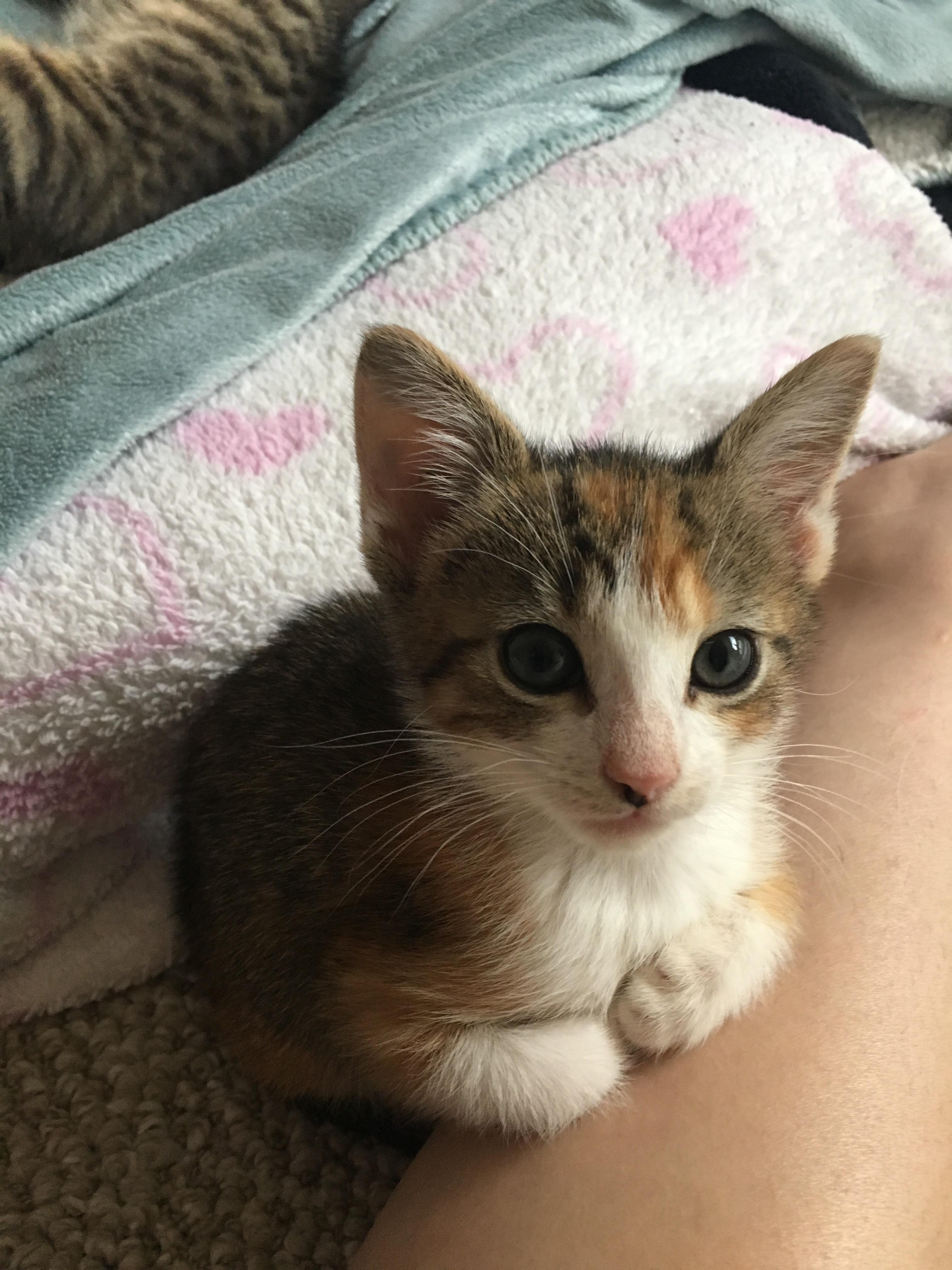 Orange loaf | Scrolller