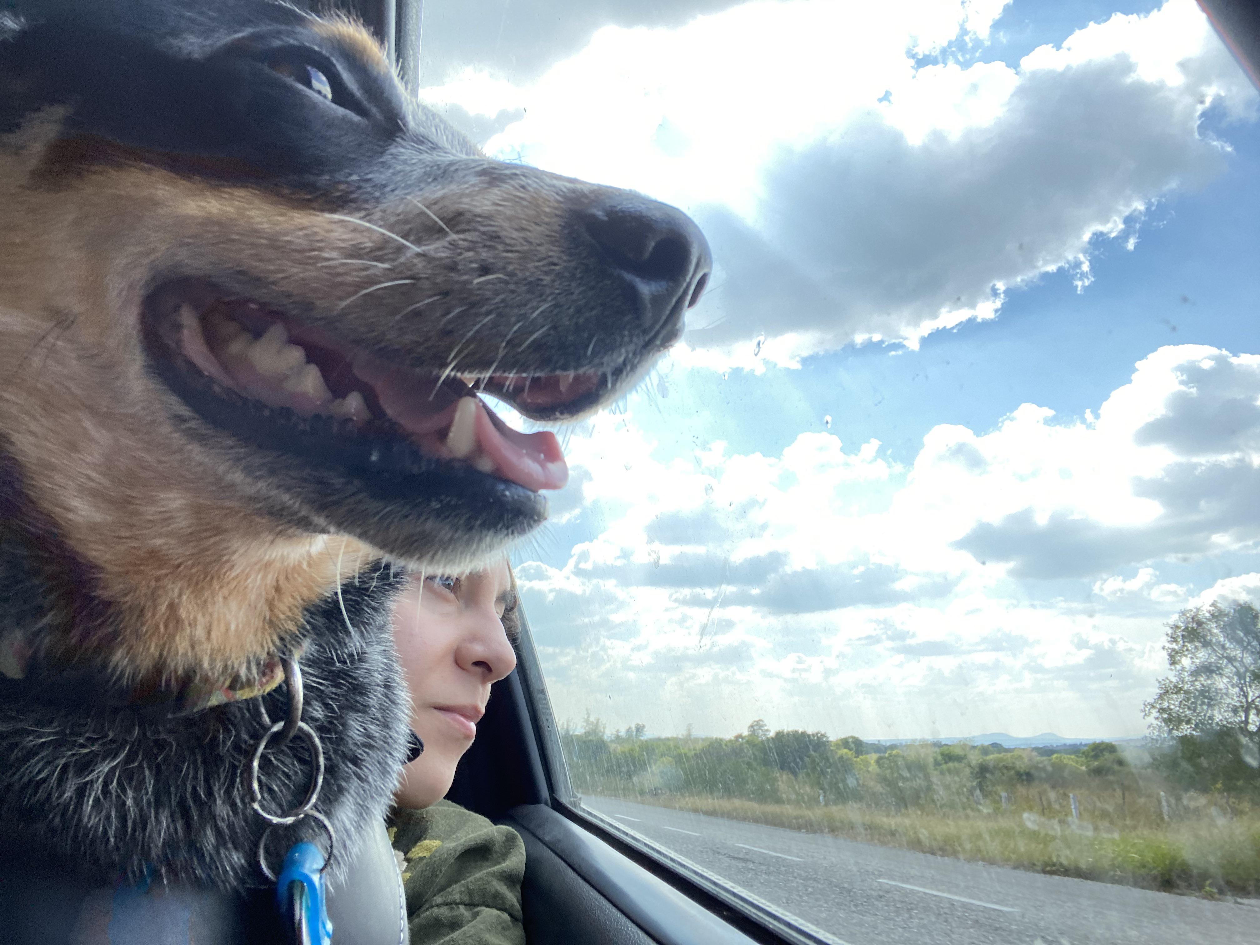 Original title | Scrolller