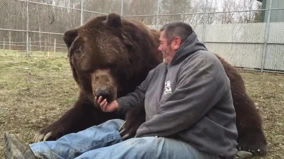 Orphaned bear cuddles with his human | Scrolller