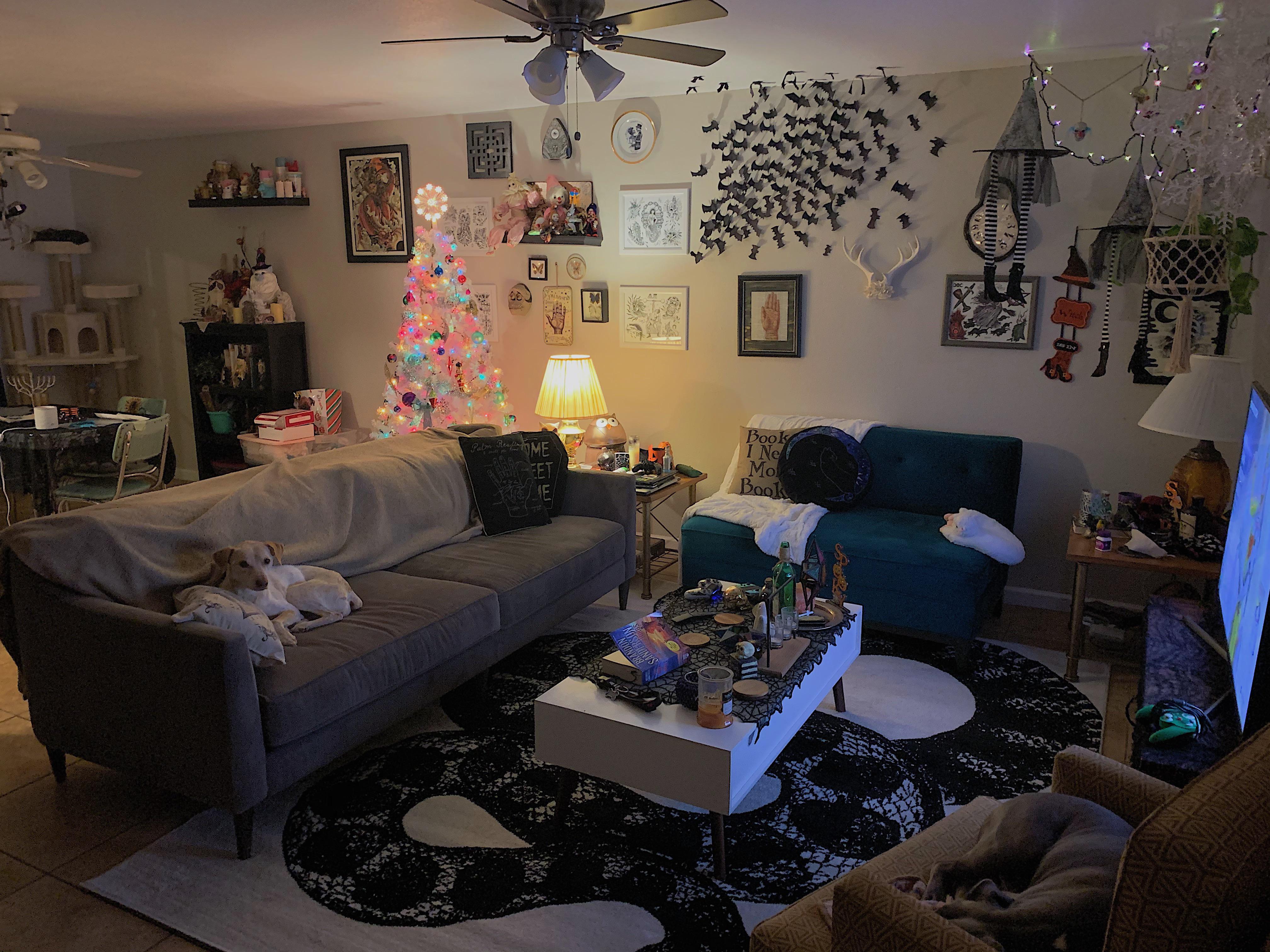 Our cozy, cluttered, living room | Scrolller