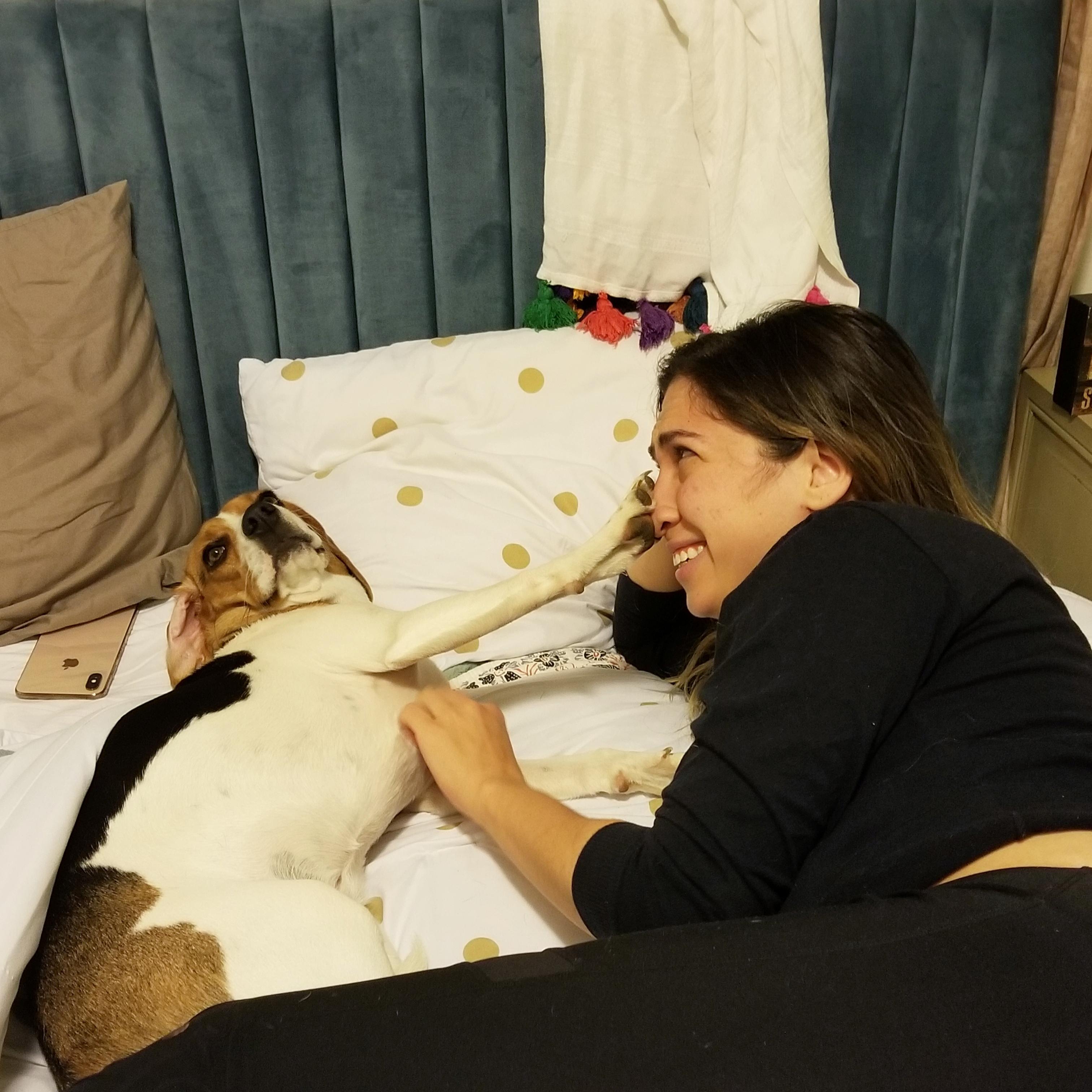 Our dog, Lily, likes to pet back | Scrolller