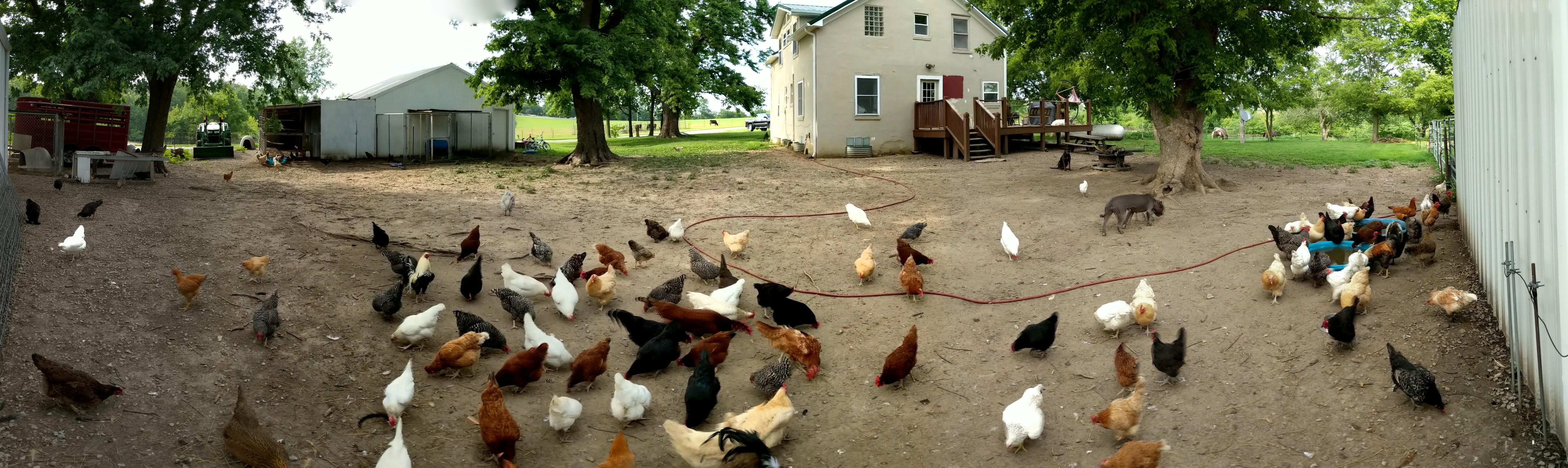 Our farm | Scrolller