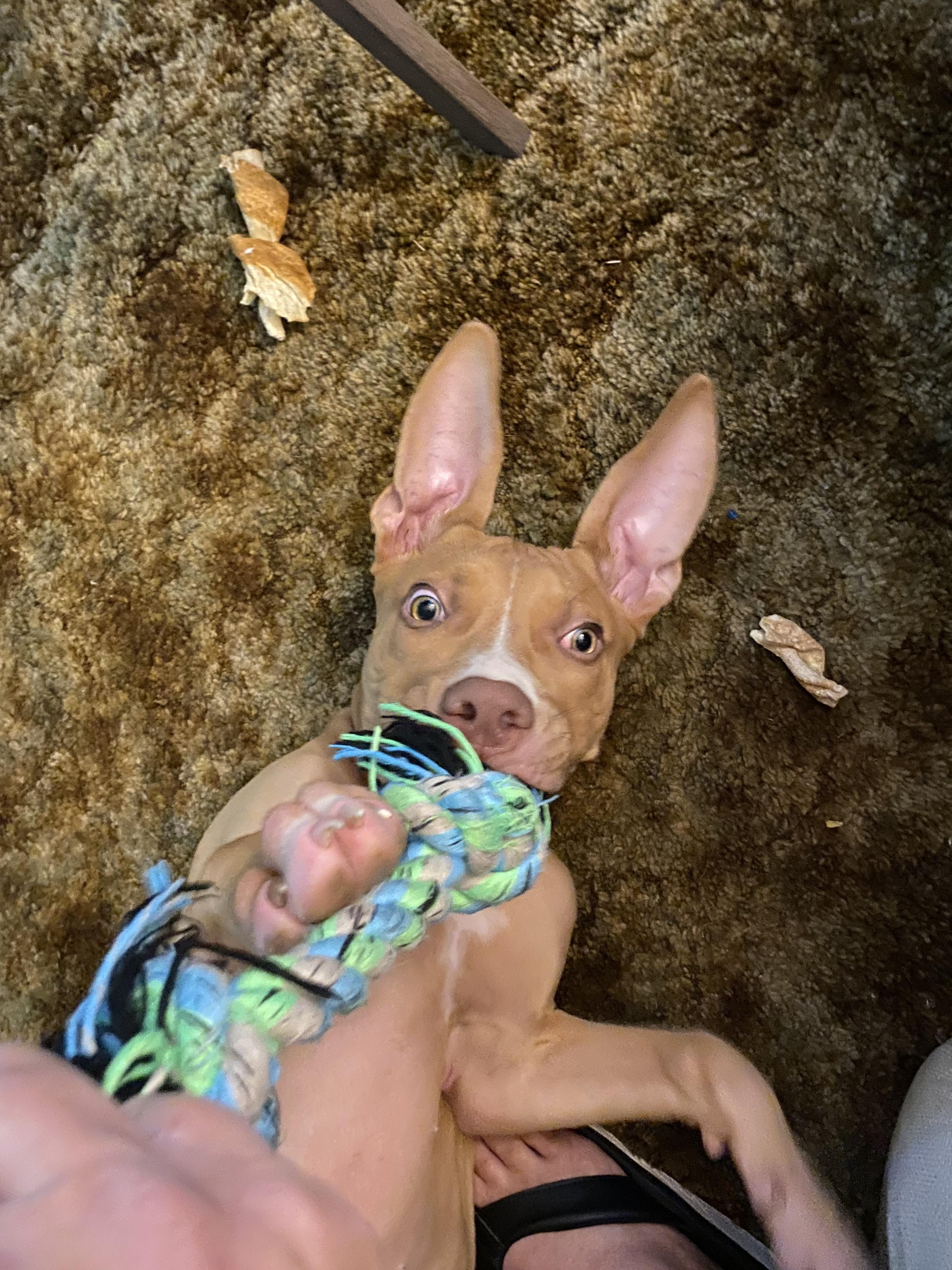 Our lil derp | Scrolller