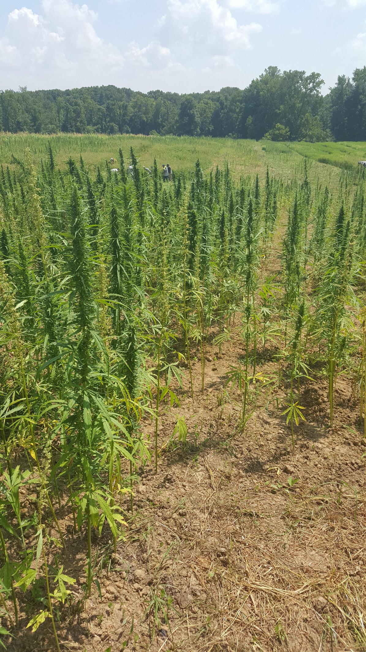 Our Little Tennessee Grow! | Scrolller