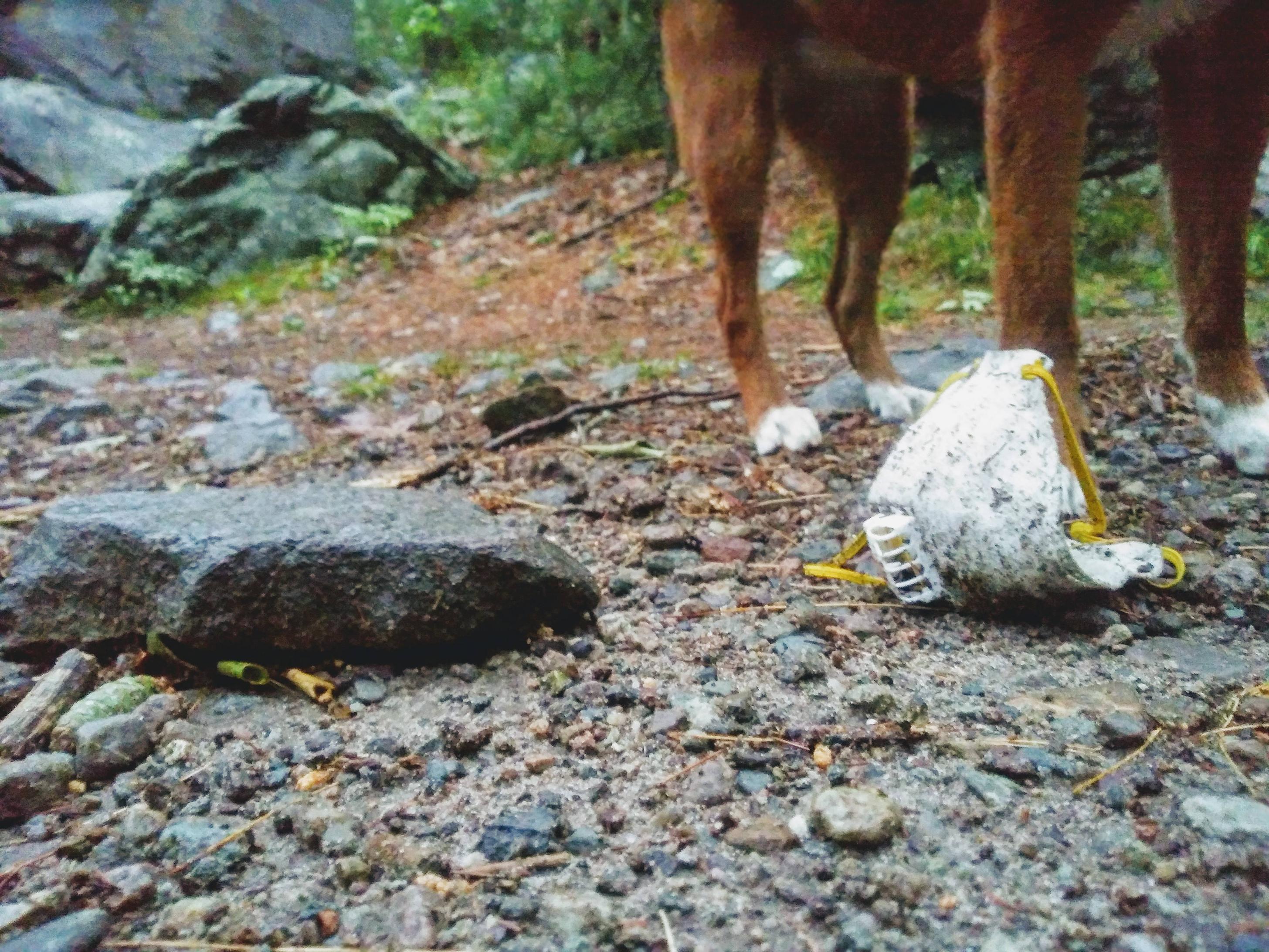 Our new mile marker :/ | Scrolller