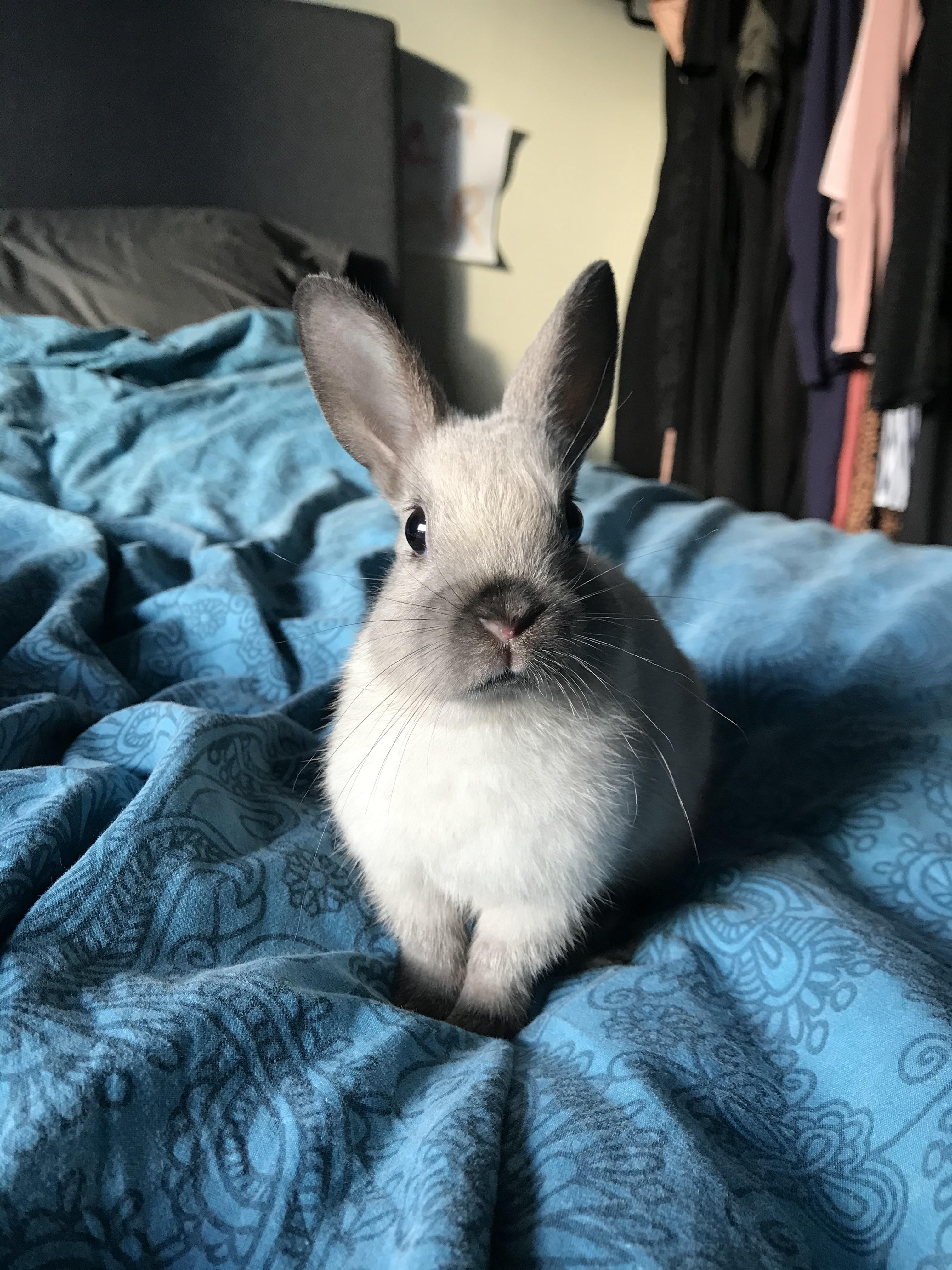 Our newest family member LEO | Scrolller