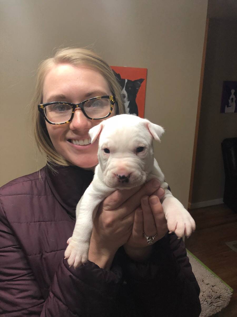 Our pitbull rescue took in a dog we knew was pregnant. We had our first pitty puppy party with ...