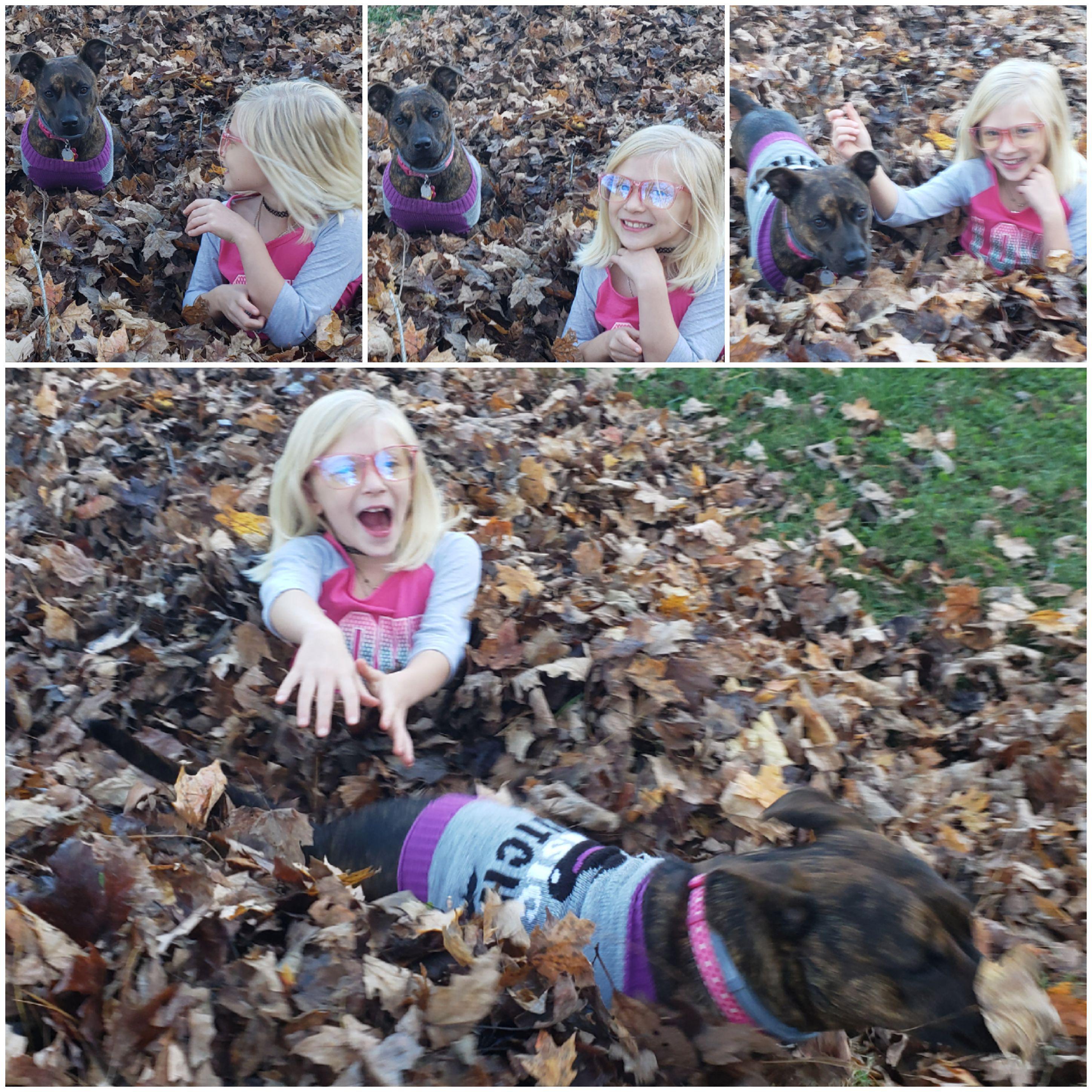 Our rescue learning that she loves playing in the leaves. | Scrolller
