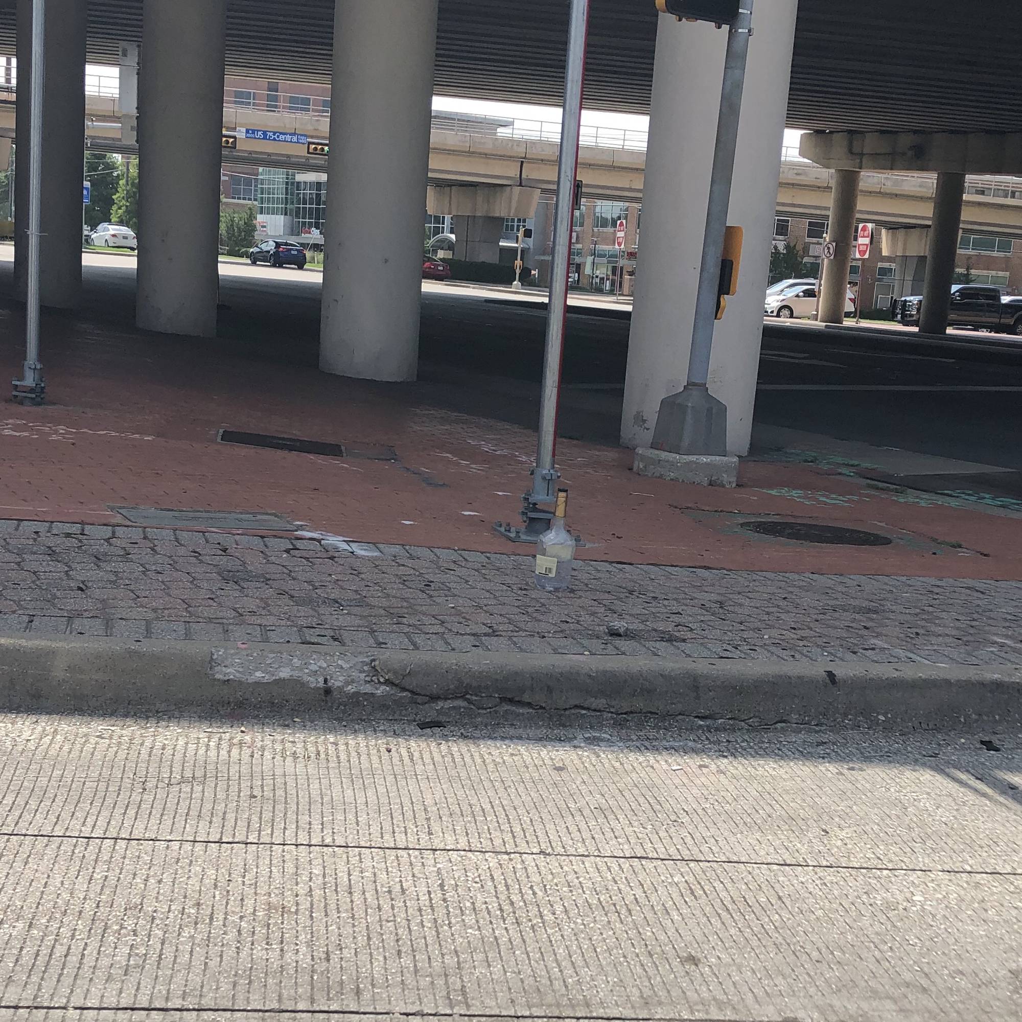 Our savior has returned | Scrolller