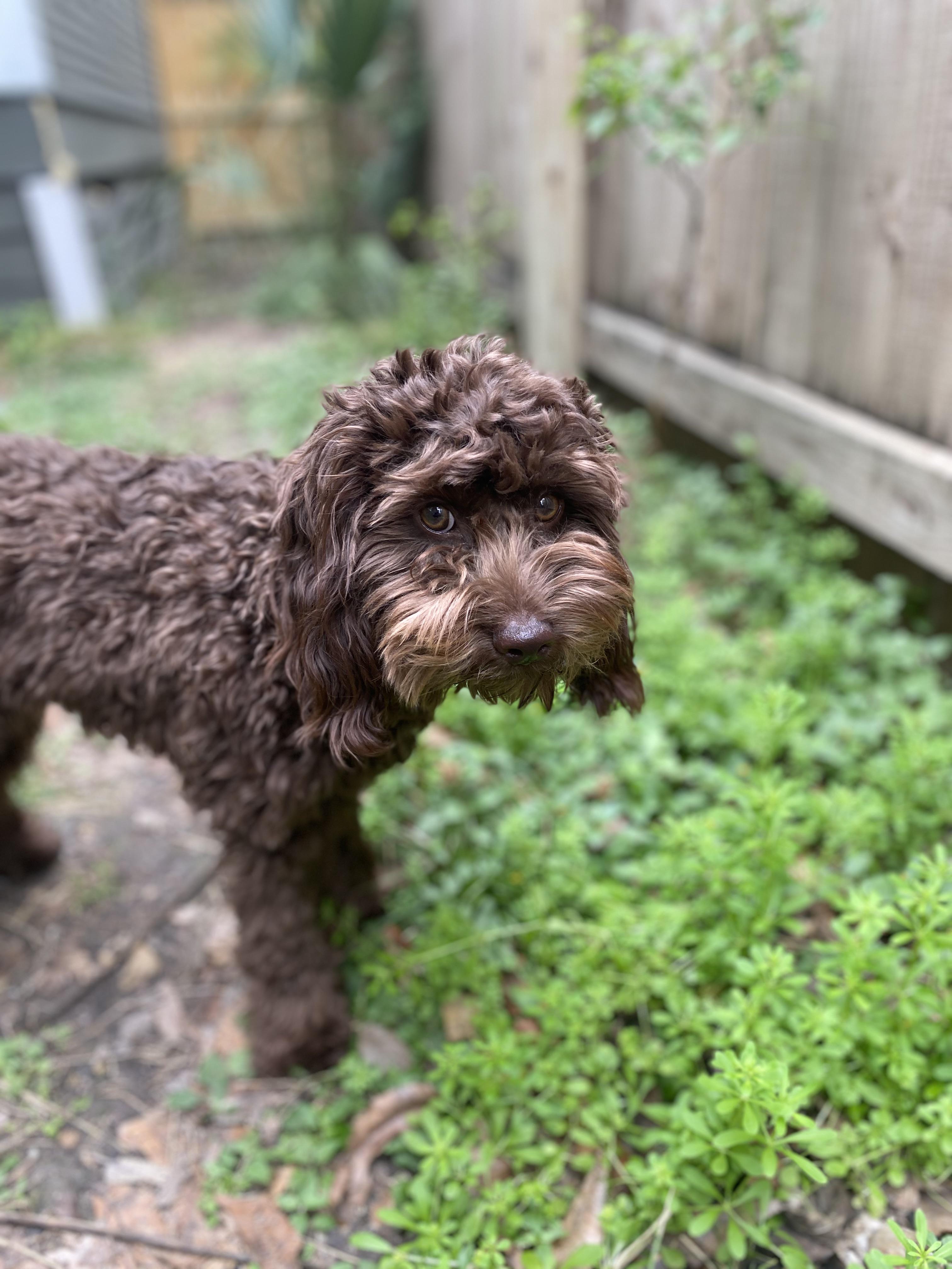 Our sweet Princess Peach | Scrolller