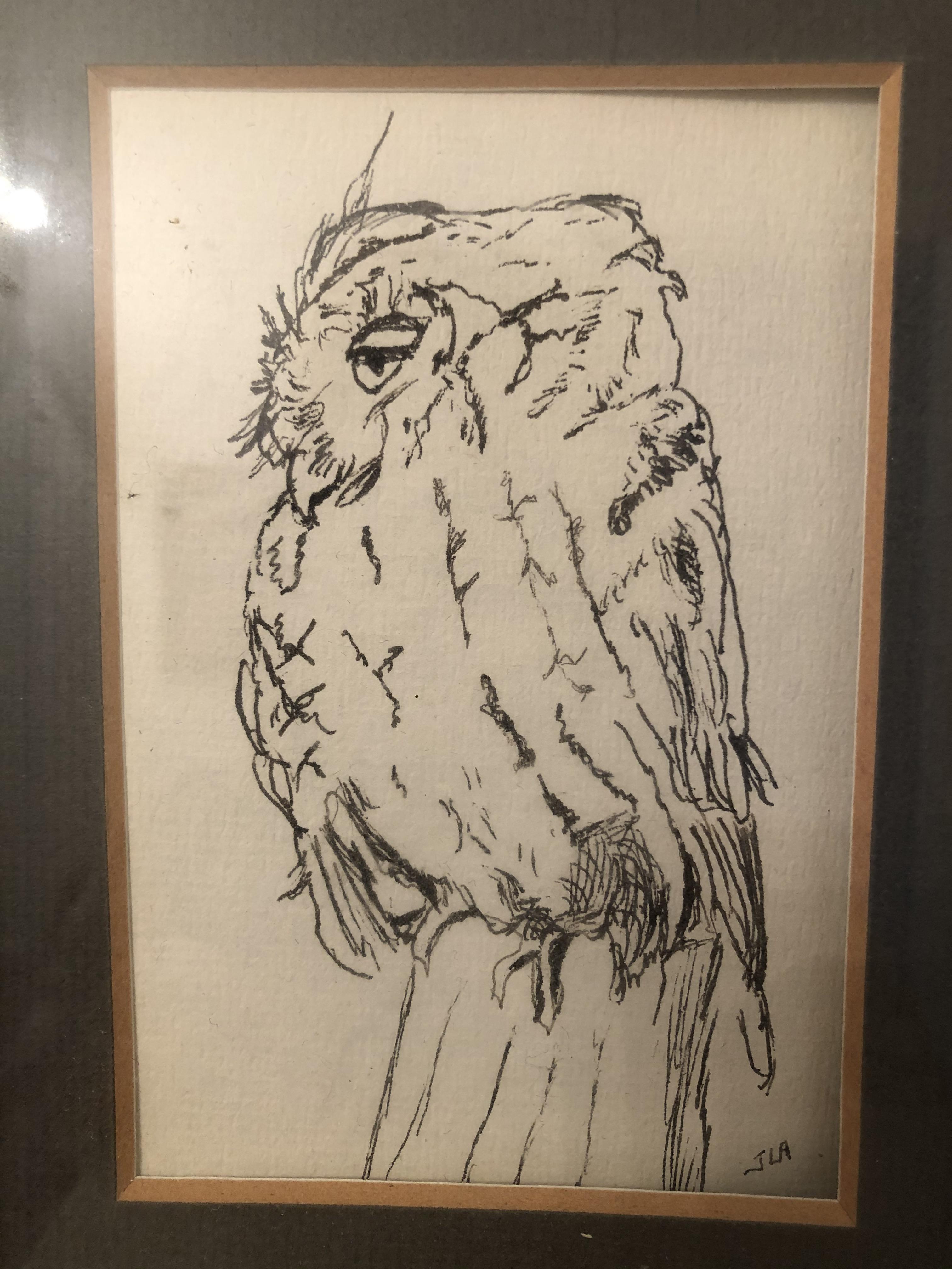 Owl of the day oc by me | Scrolller