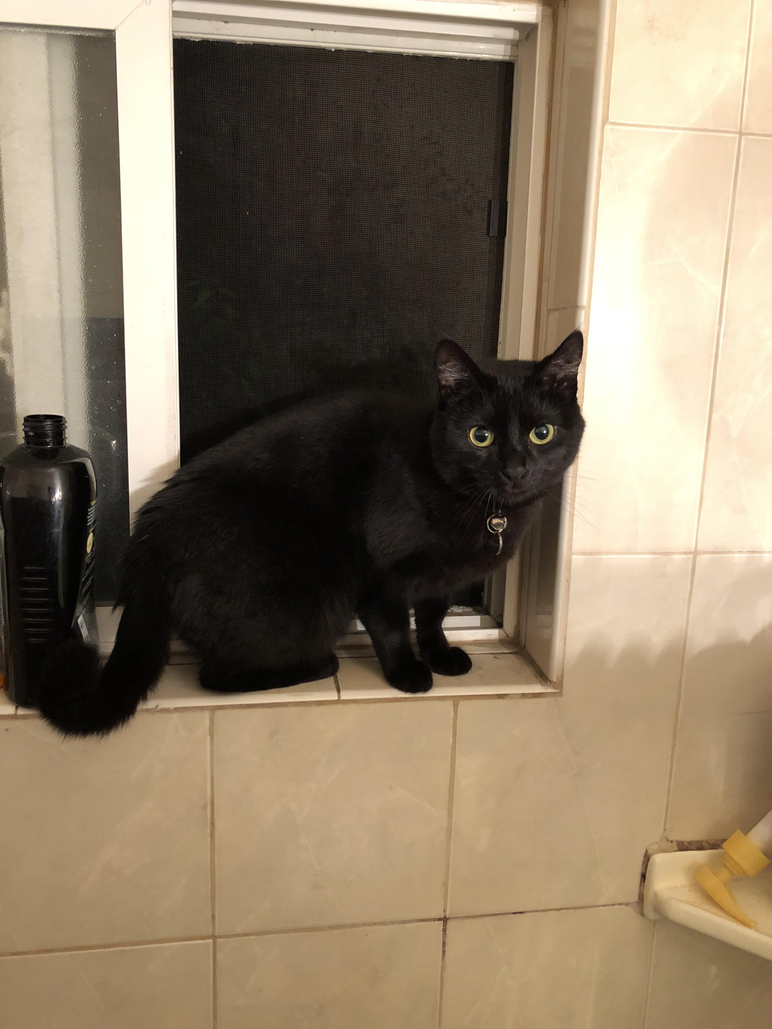 "Pantene. I approve." | Scrolller