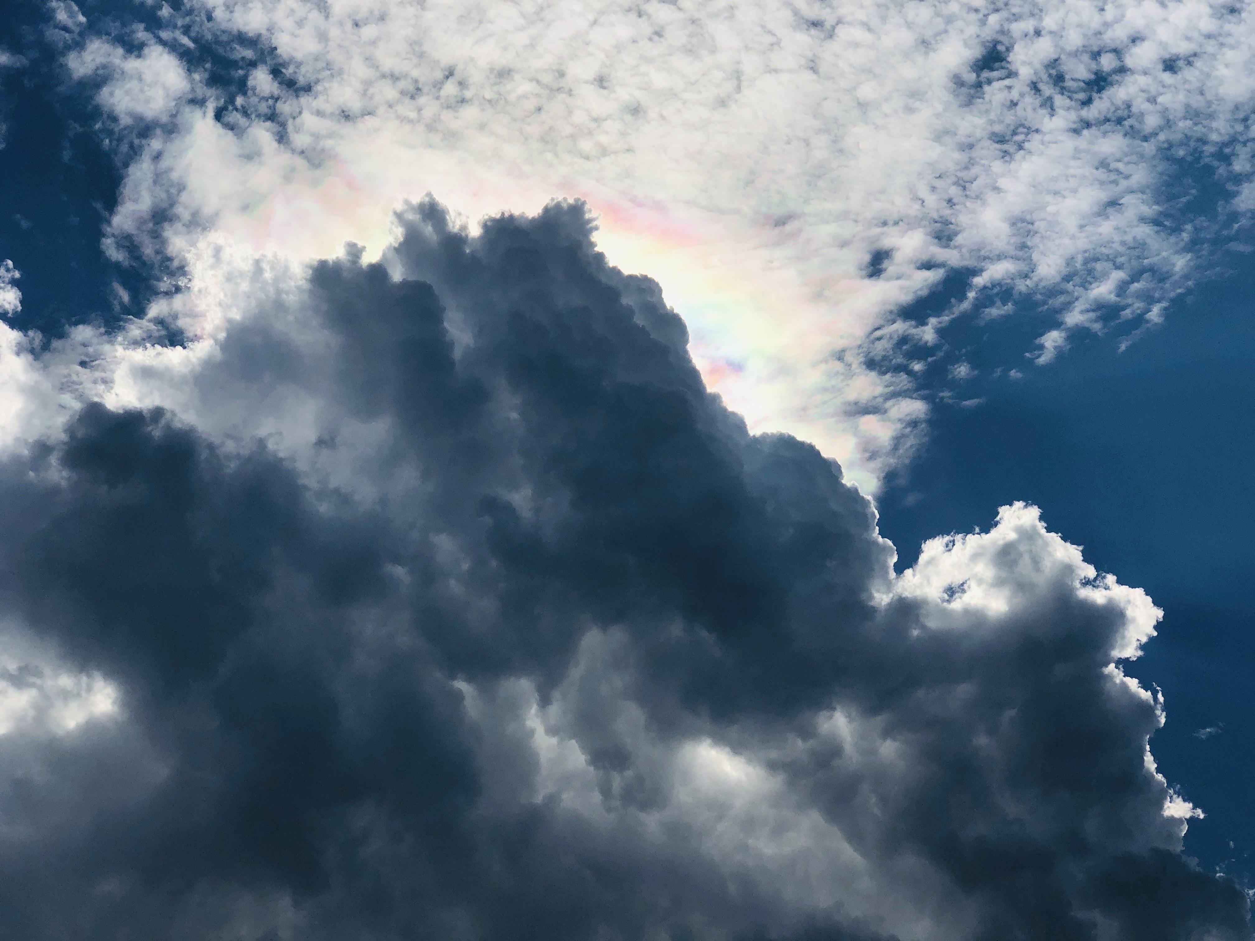 Paradise leaking | Scrolller