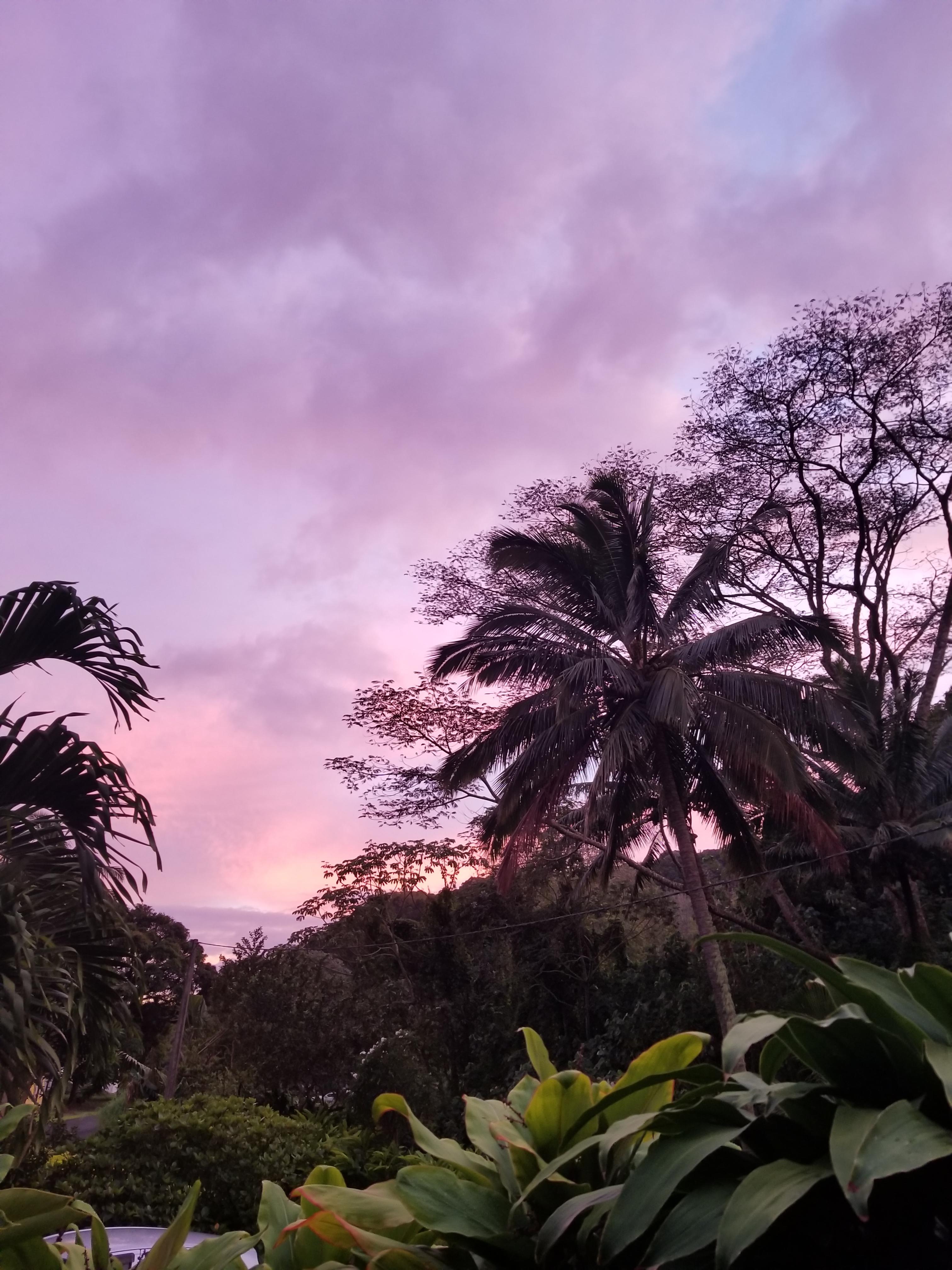 Paradise sunrise. | Scrolller