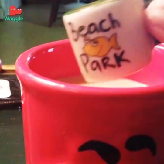 Party parrot cure for hangover | Scrolller