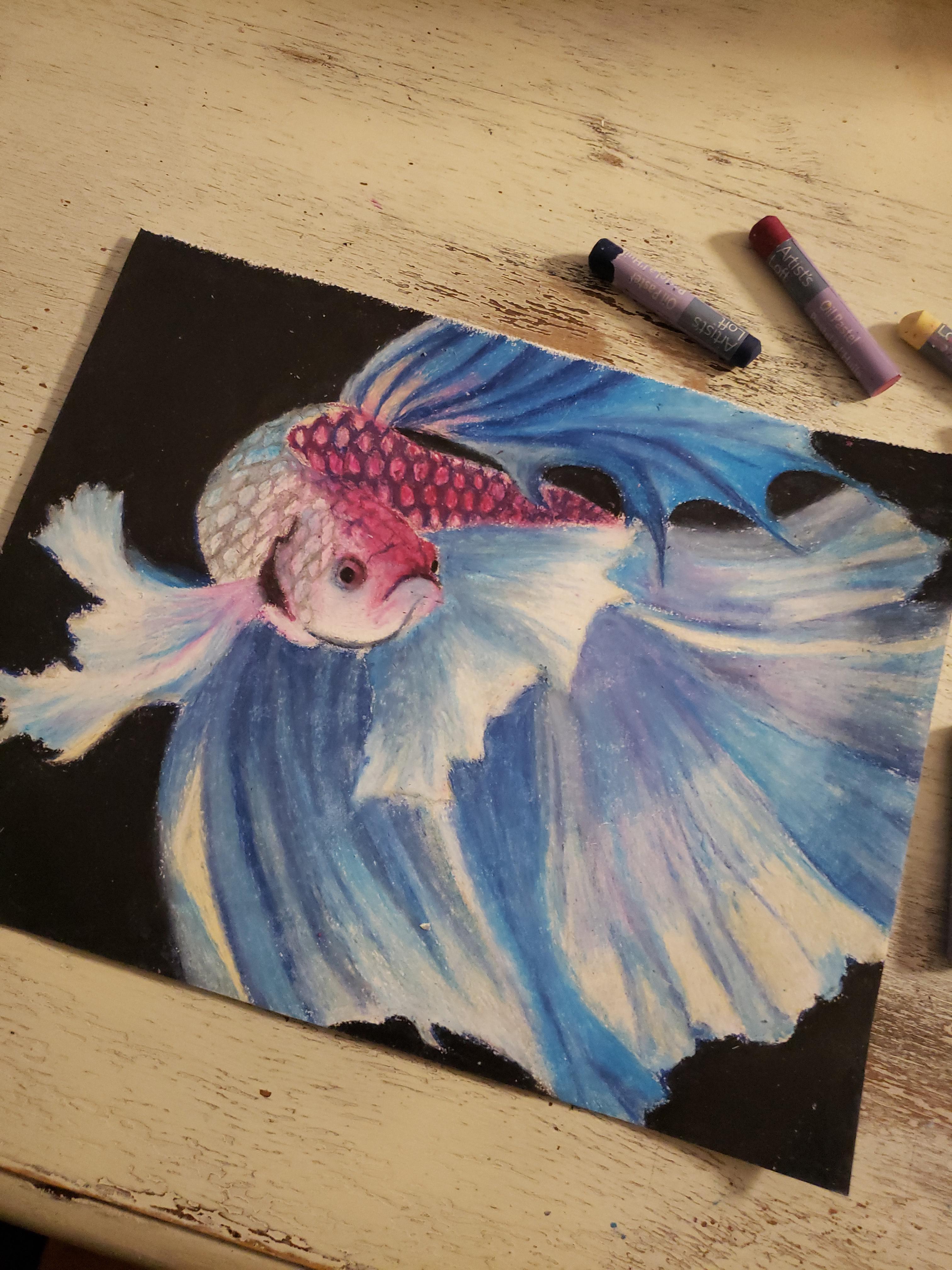 Pastel drawing I did in memory of my first betta fish Squishy | Scrolller