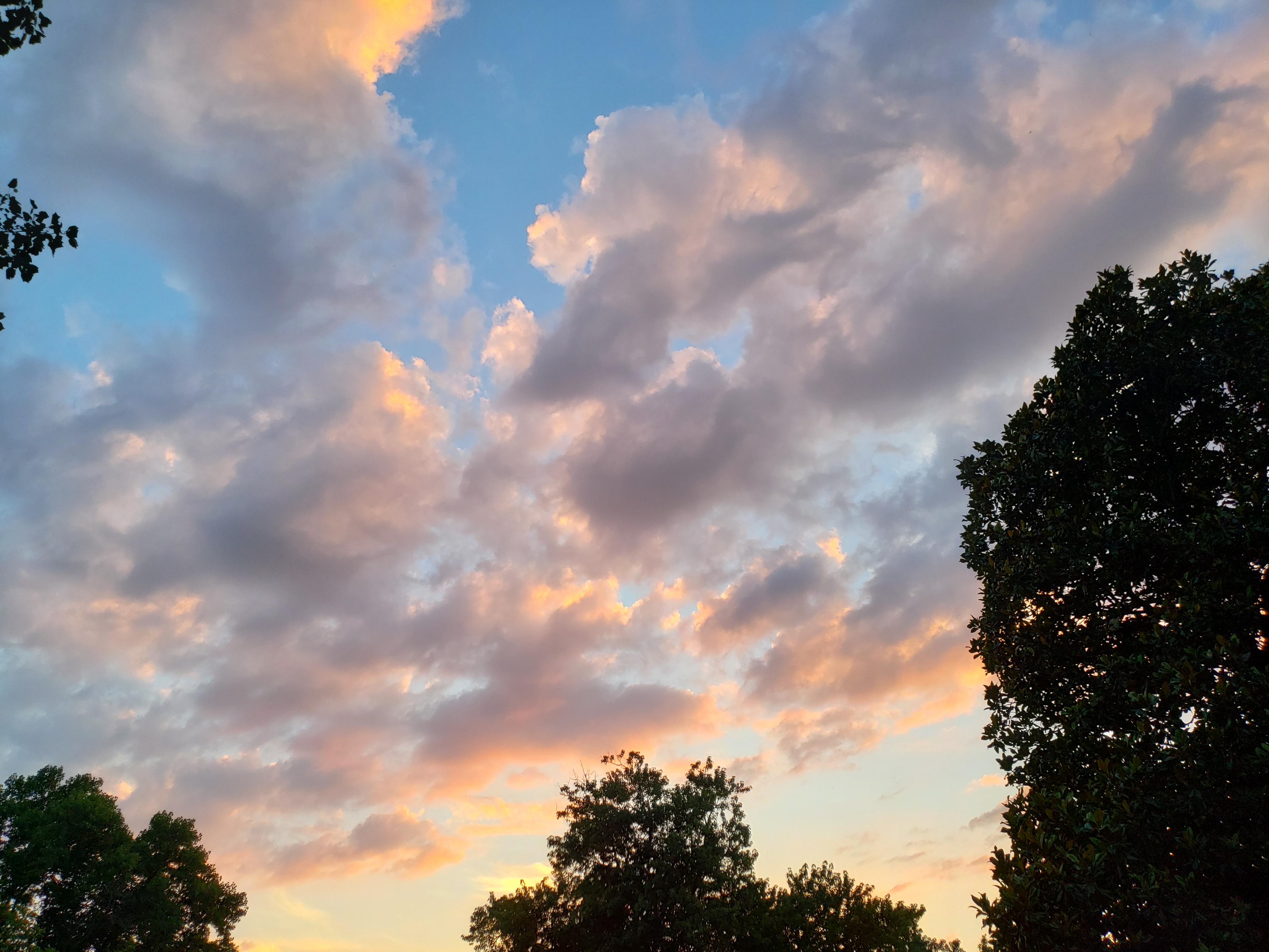 Pastel dreams | Scrolller