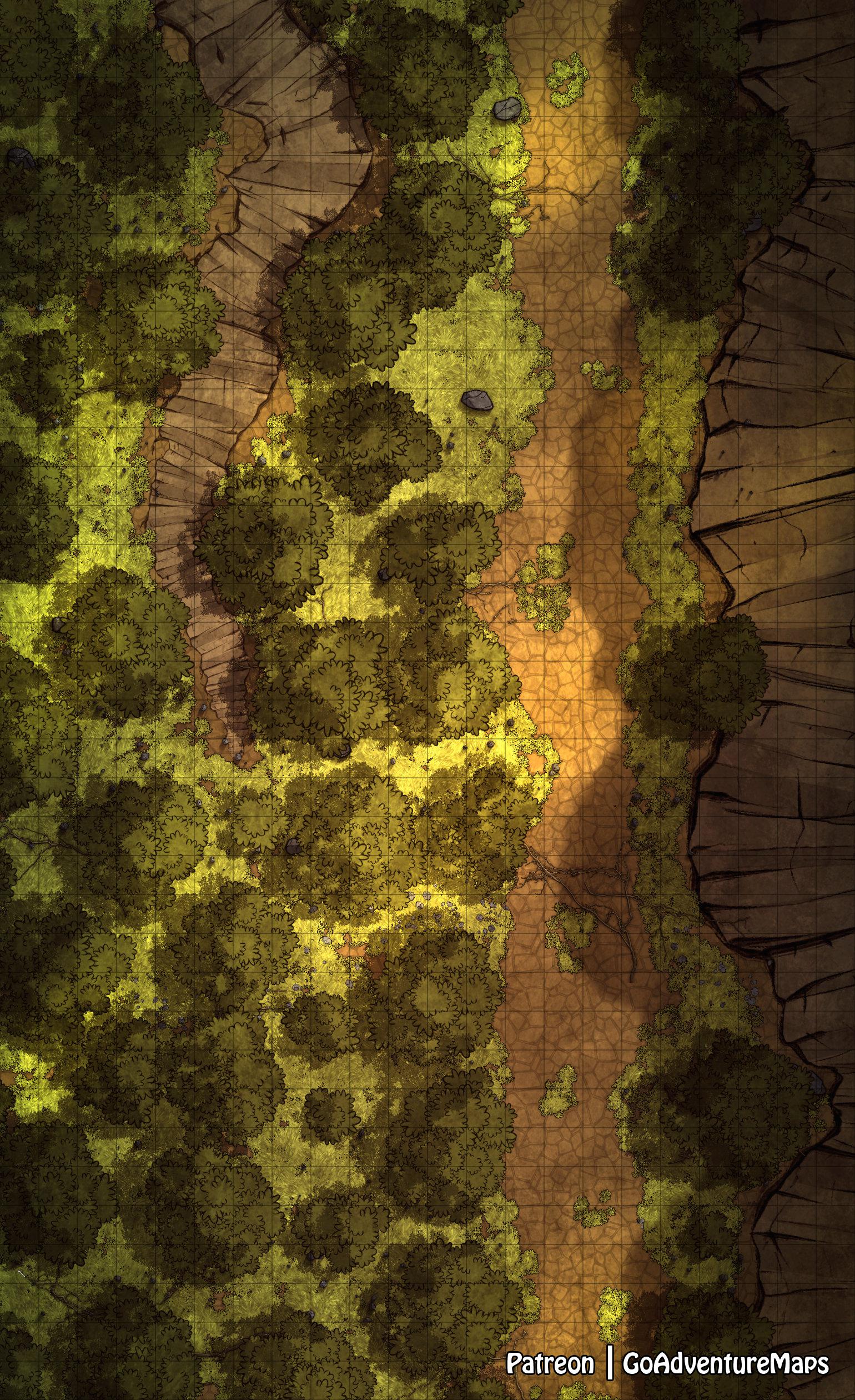 Path in the Forest [22x36] | Scrolller