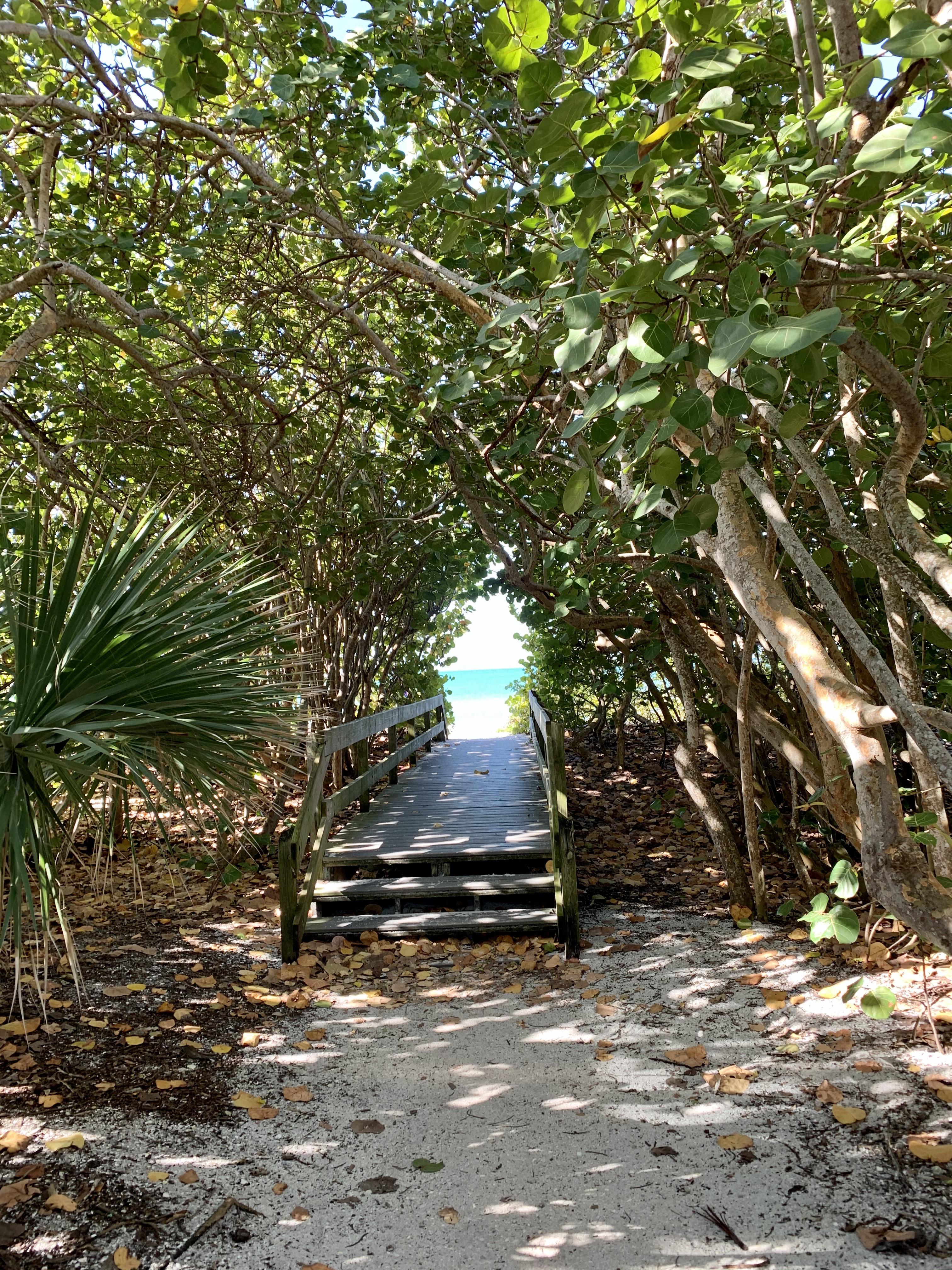 Path to the ocean | Scrolller