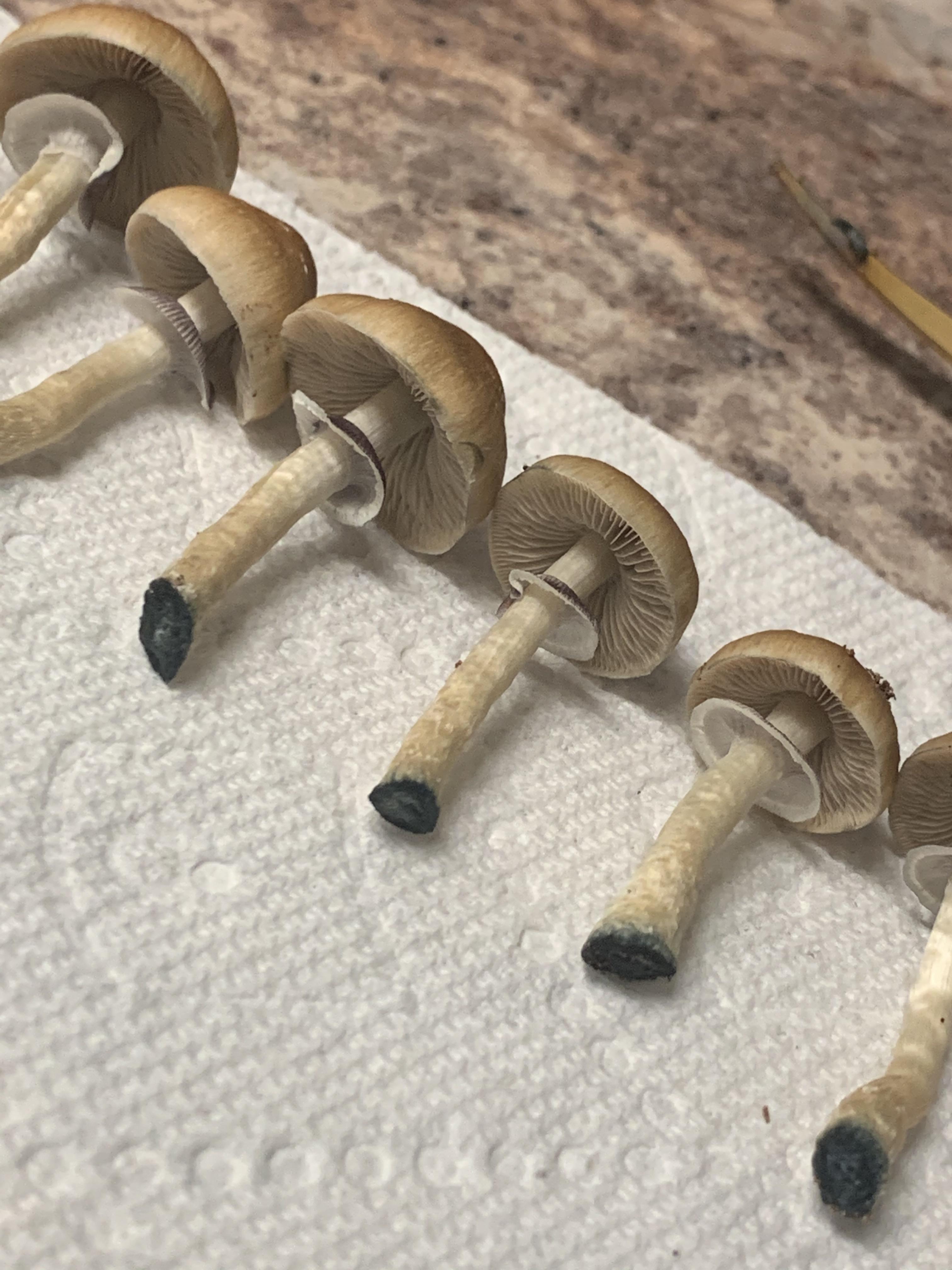 Patience | Scrolller