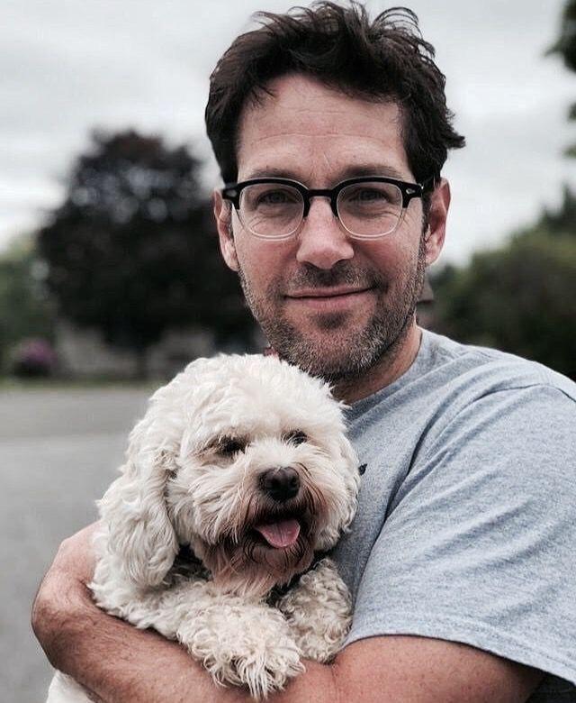 Paul Rudd 😍 | Scrolller