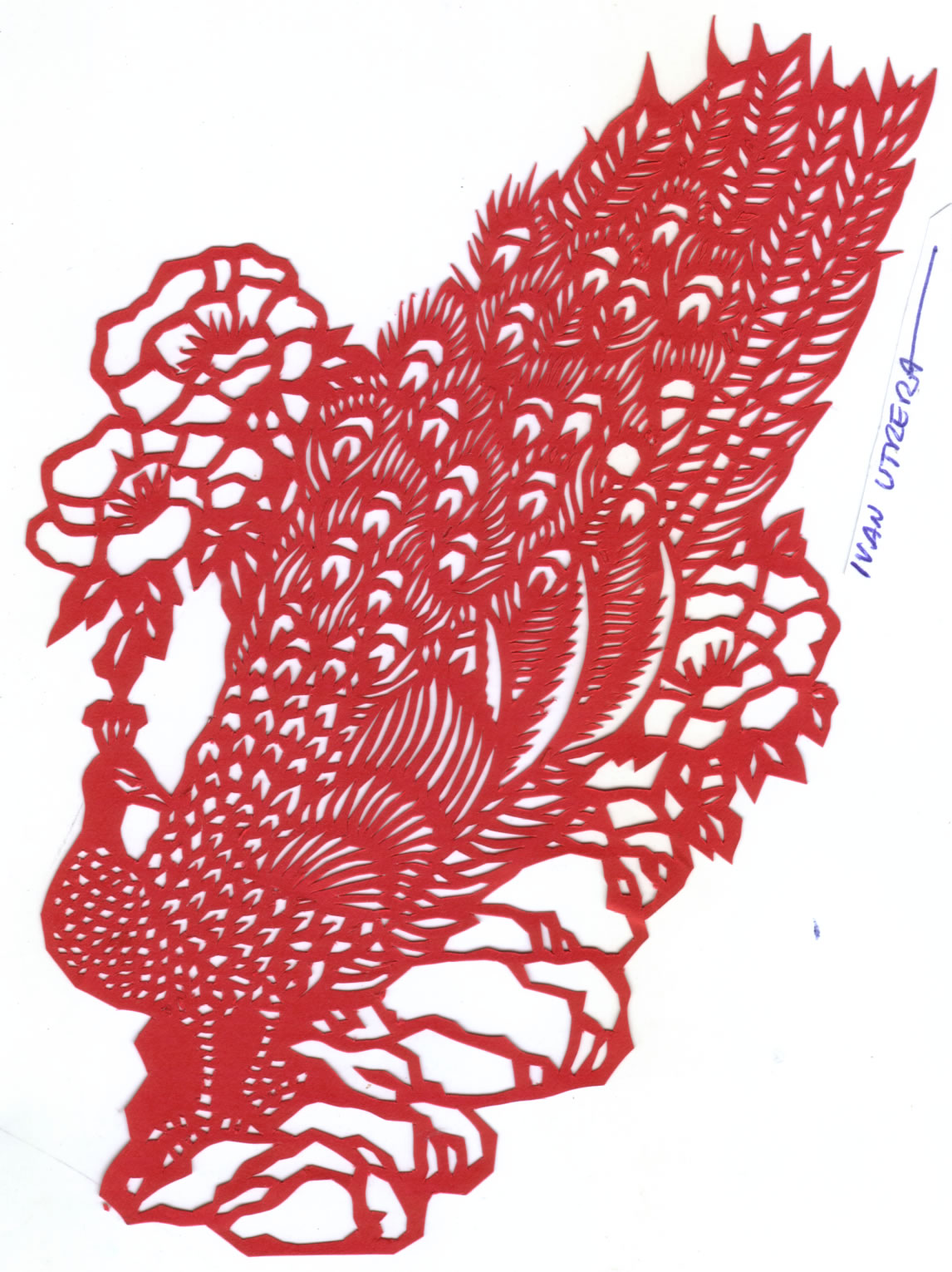 pavo real paper cut | Scrolller
