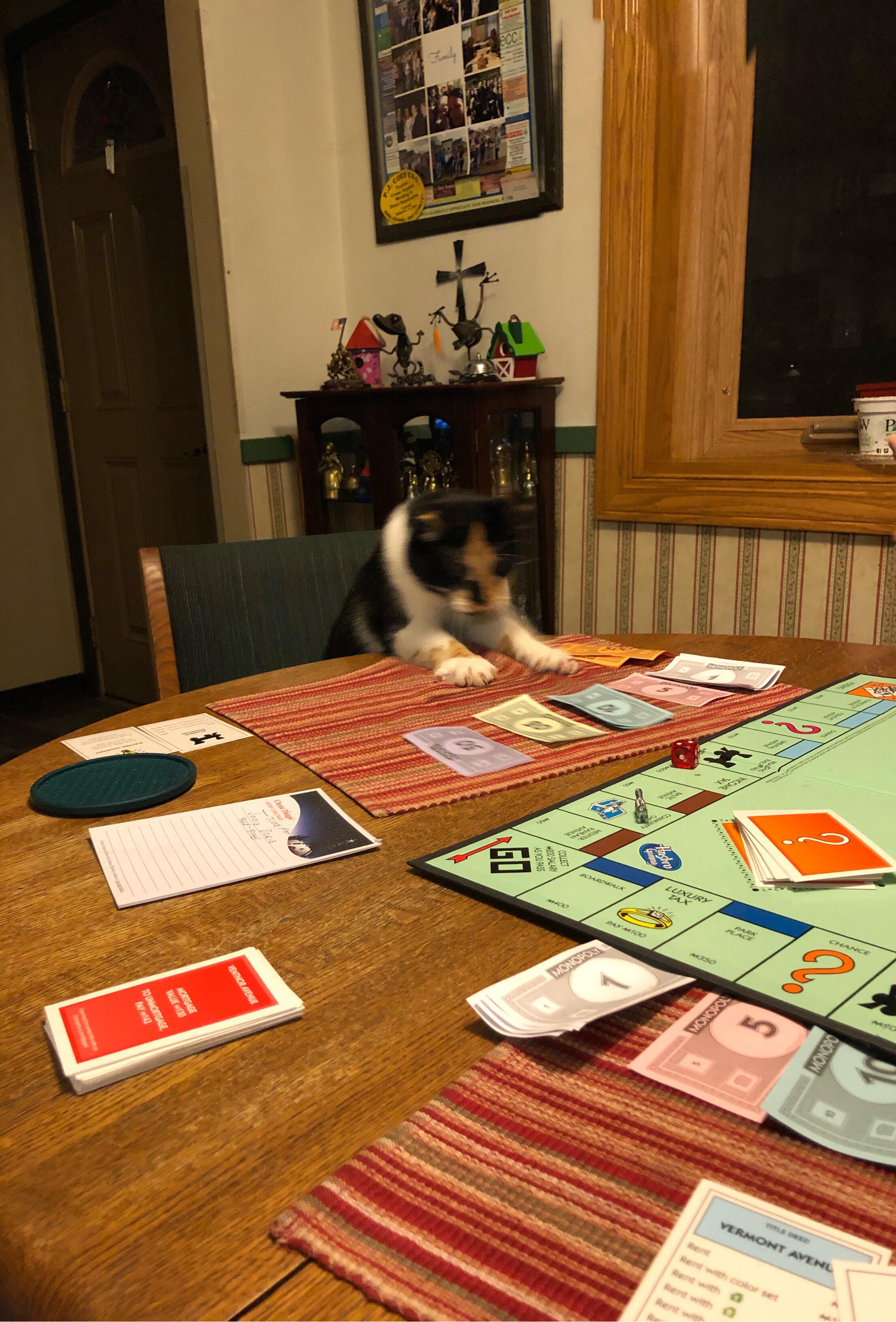 Pay me now | Scrolller