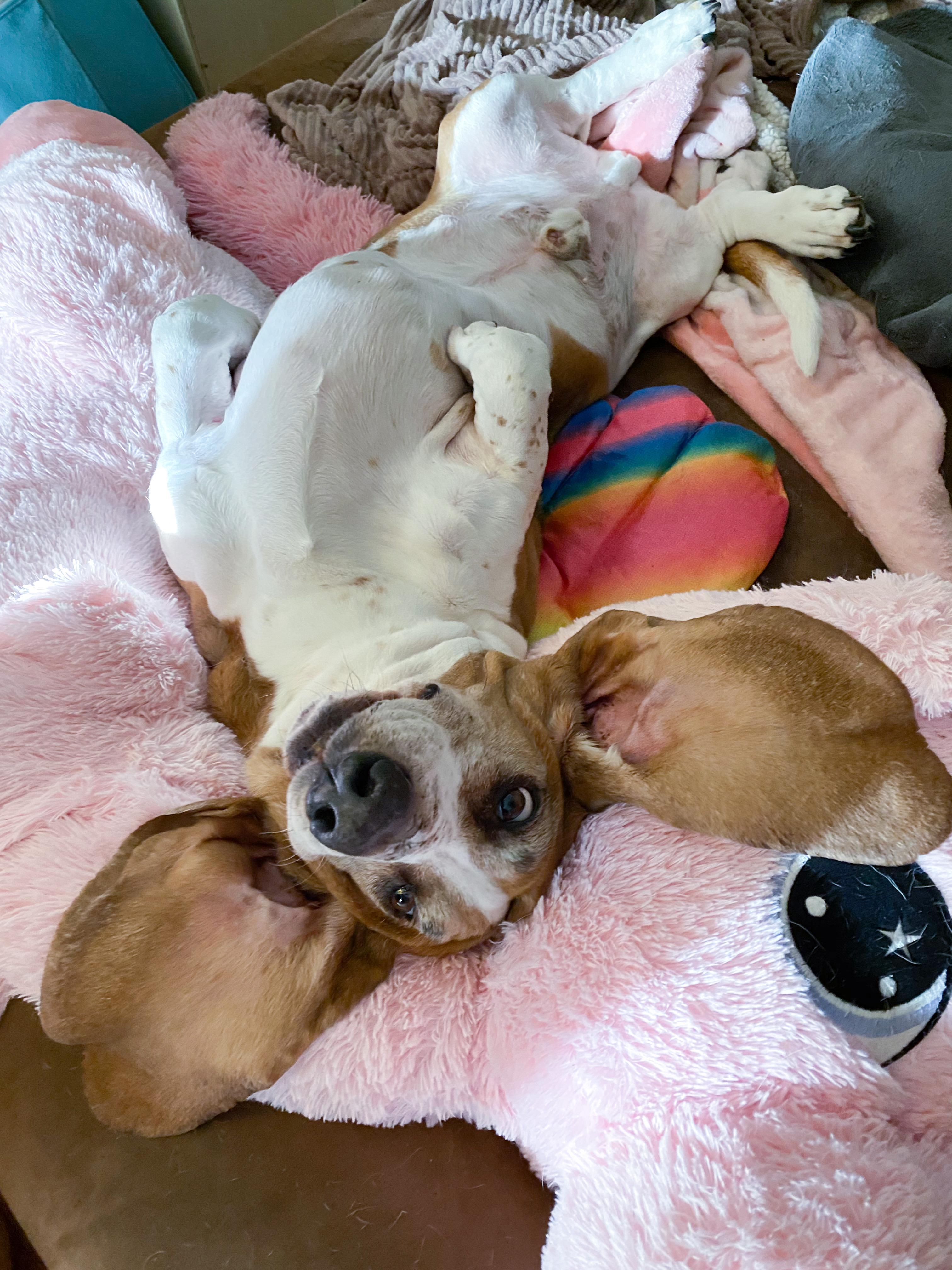 Payton being derpy | Scrolller