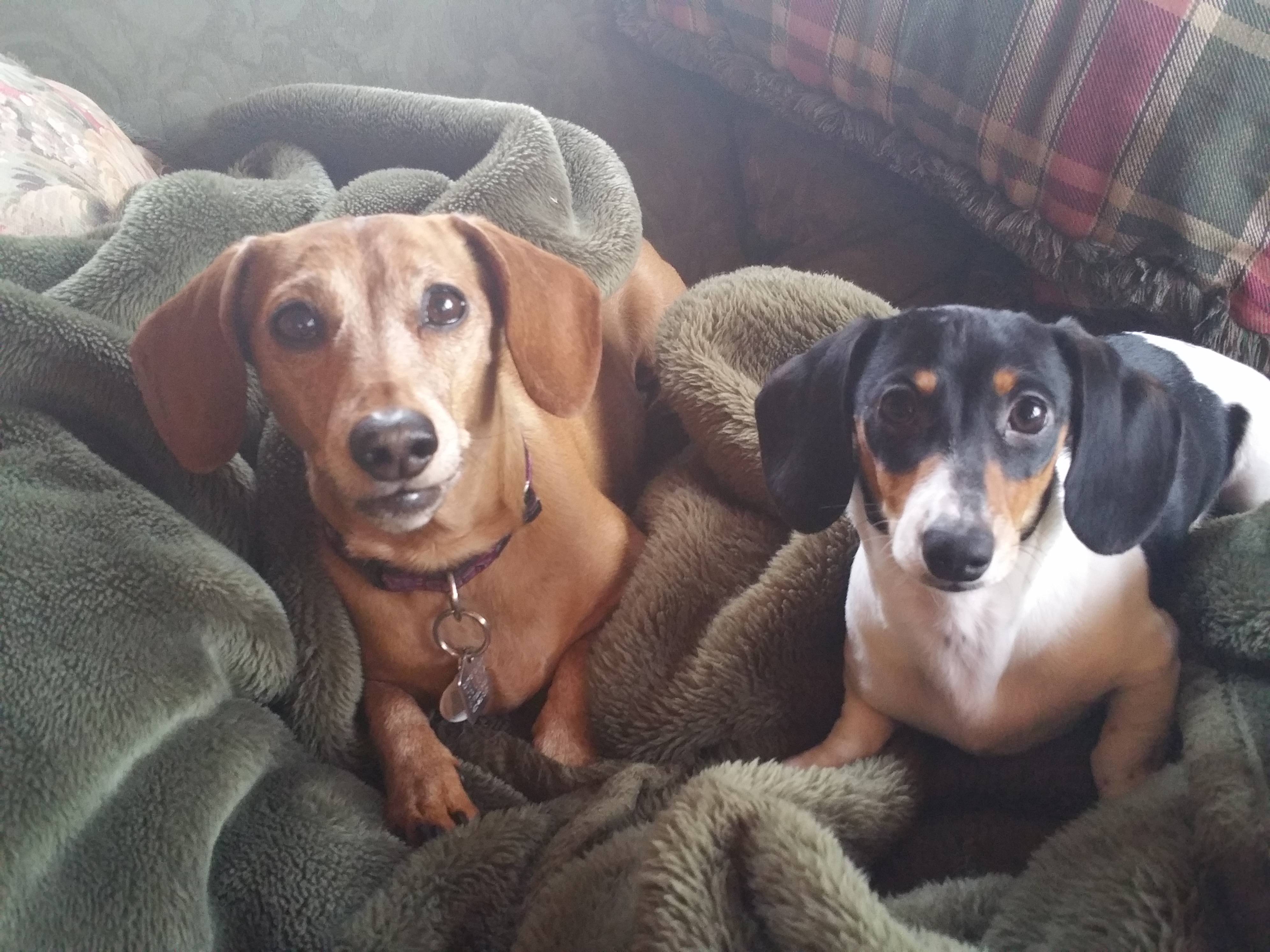 Peanut and Sherman | Scrolller