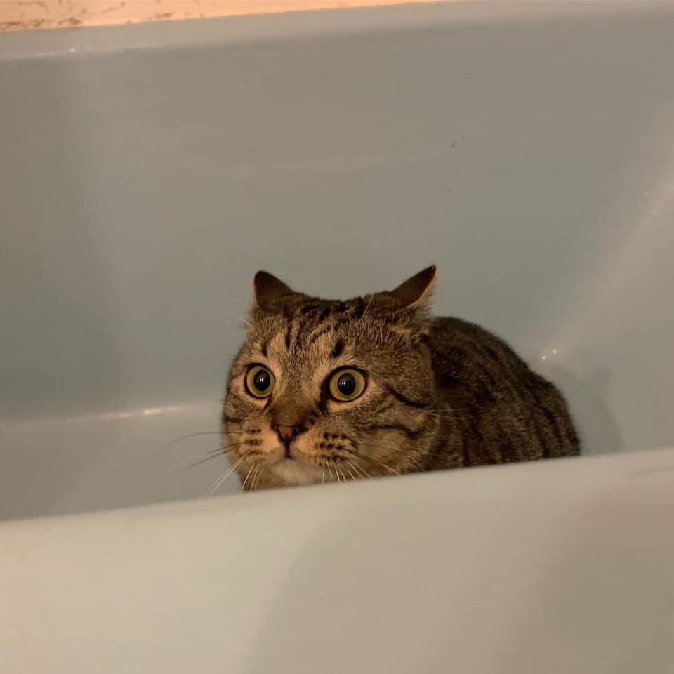 Peanut express preparing for liftoff | Scrolller