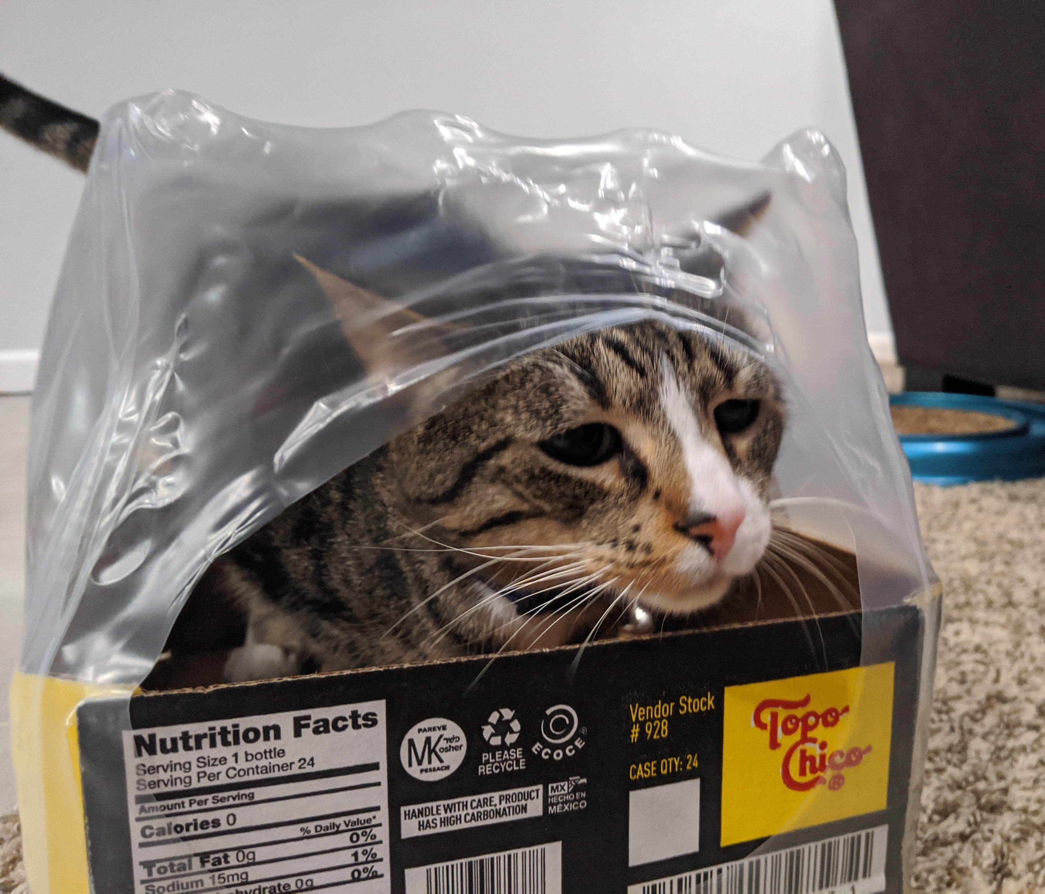 Pear flavored Topo Chico | Scrolller