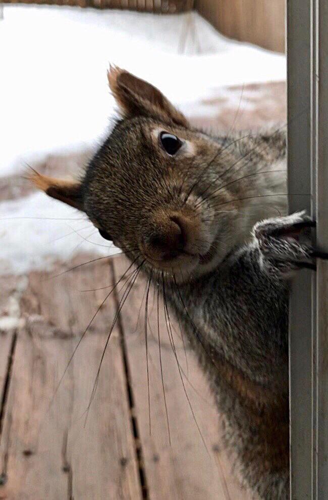 Peeping Nikki ️ | Scrolller