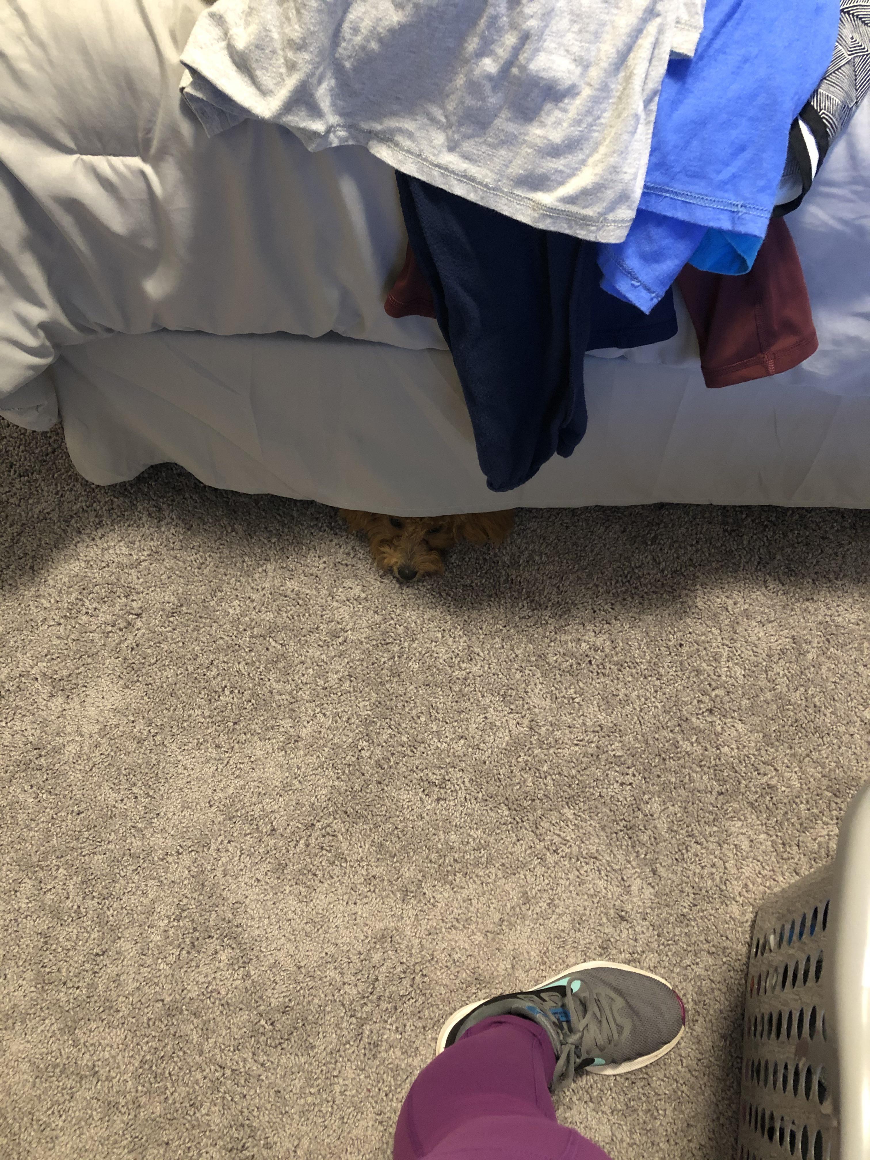 Peeping while I fold laundry. | Scrolller