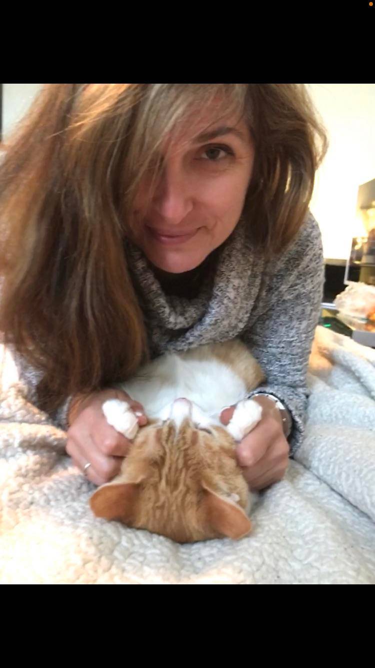 pegging rule | Scrolller