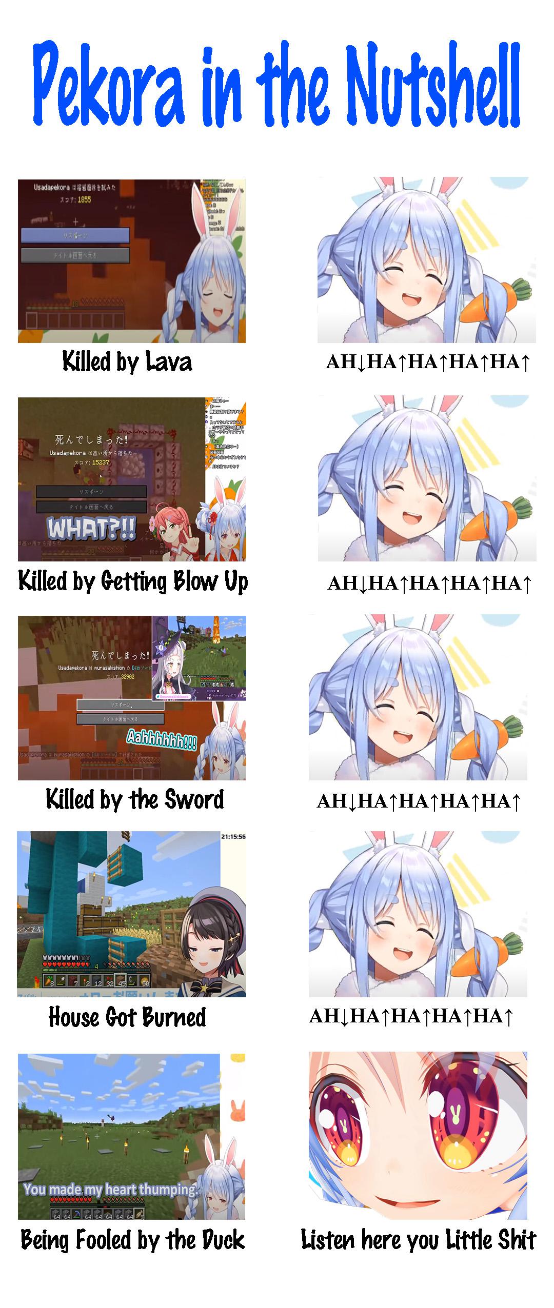 Pekora in the Nutshell! | Scrolller