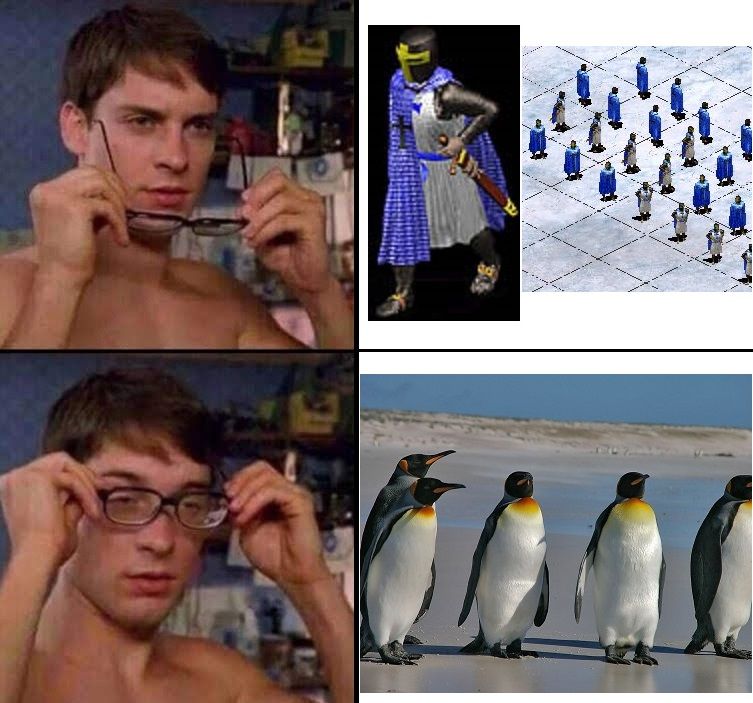 Penguins | Scrolller